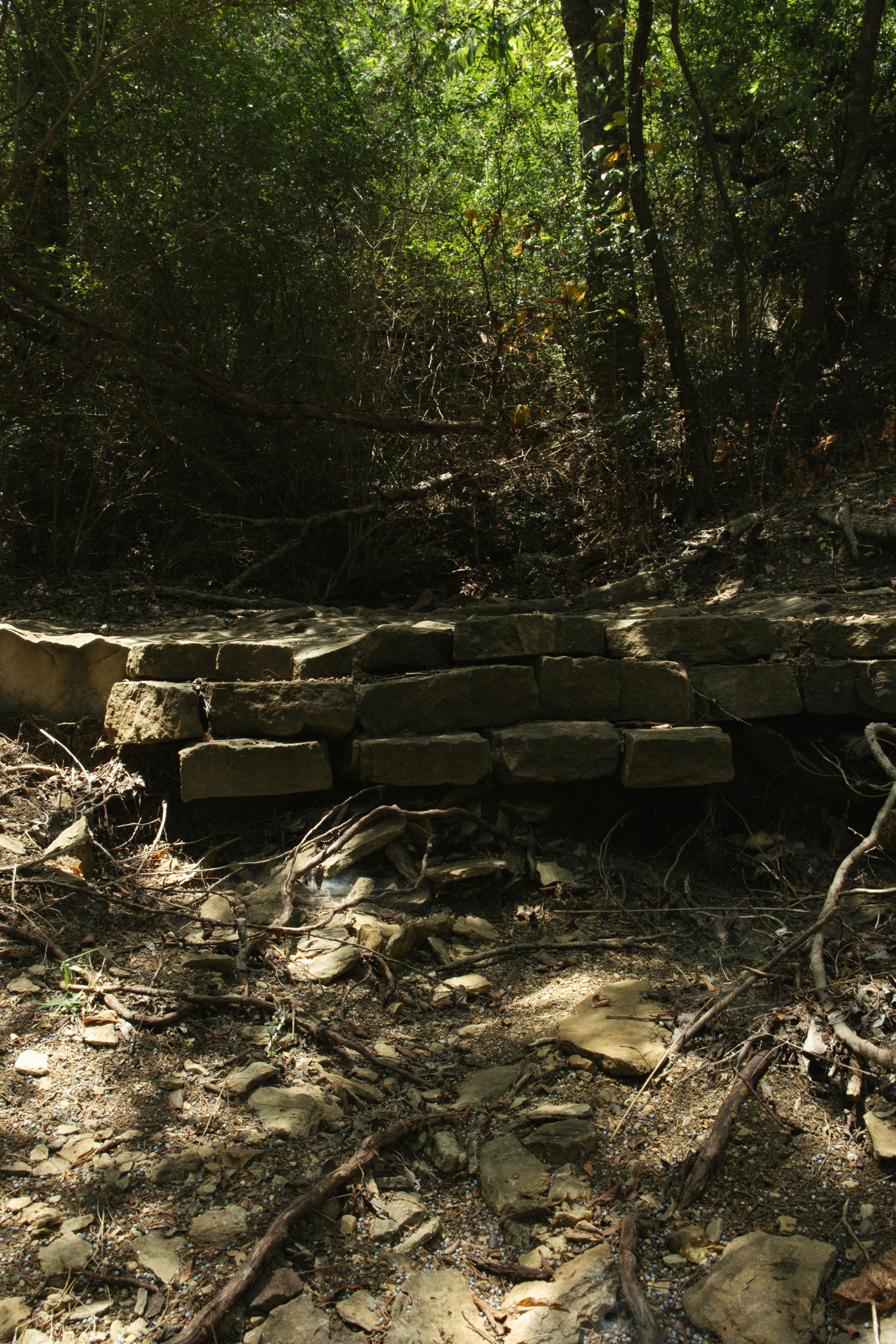 Stone Terrace in Dappled Shade