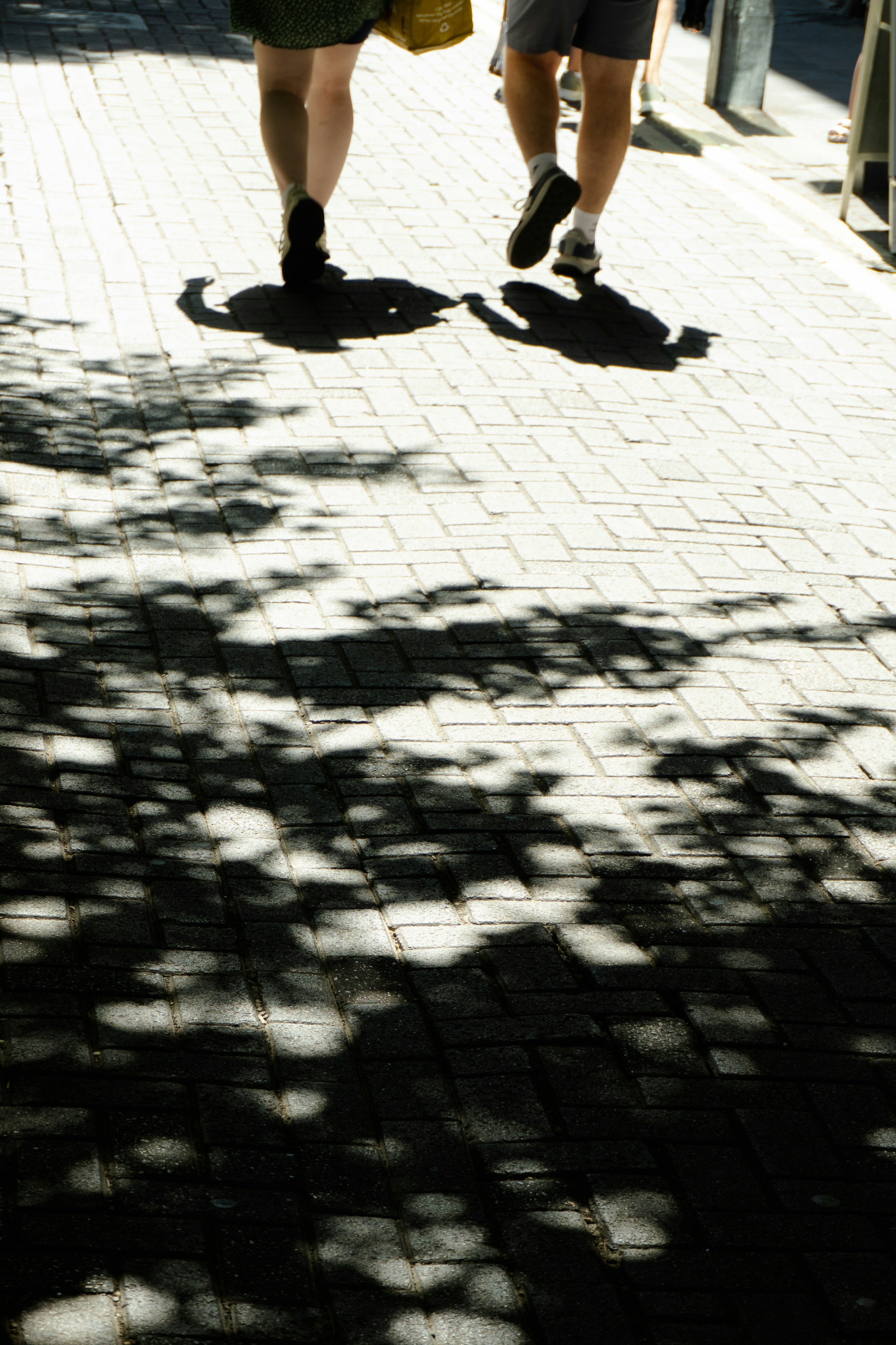 Shadowed Stride: Footsteps Across Sunlit Pavers