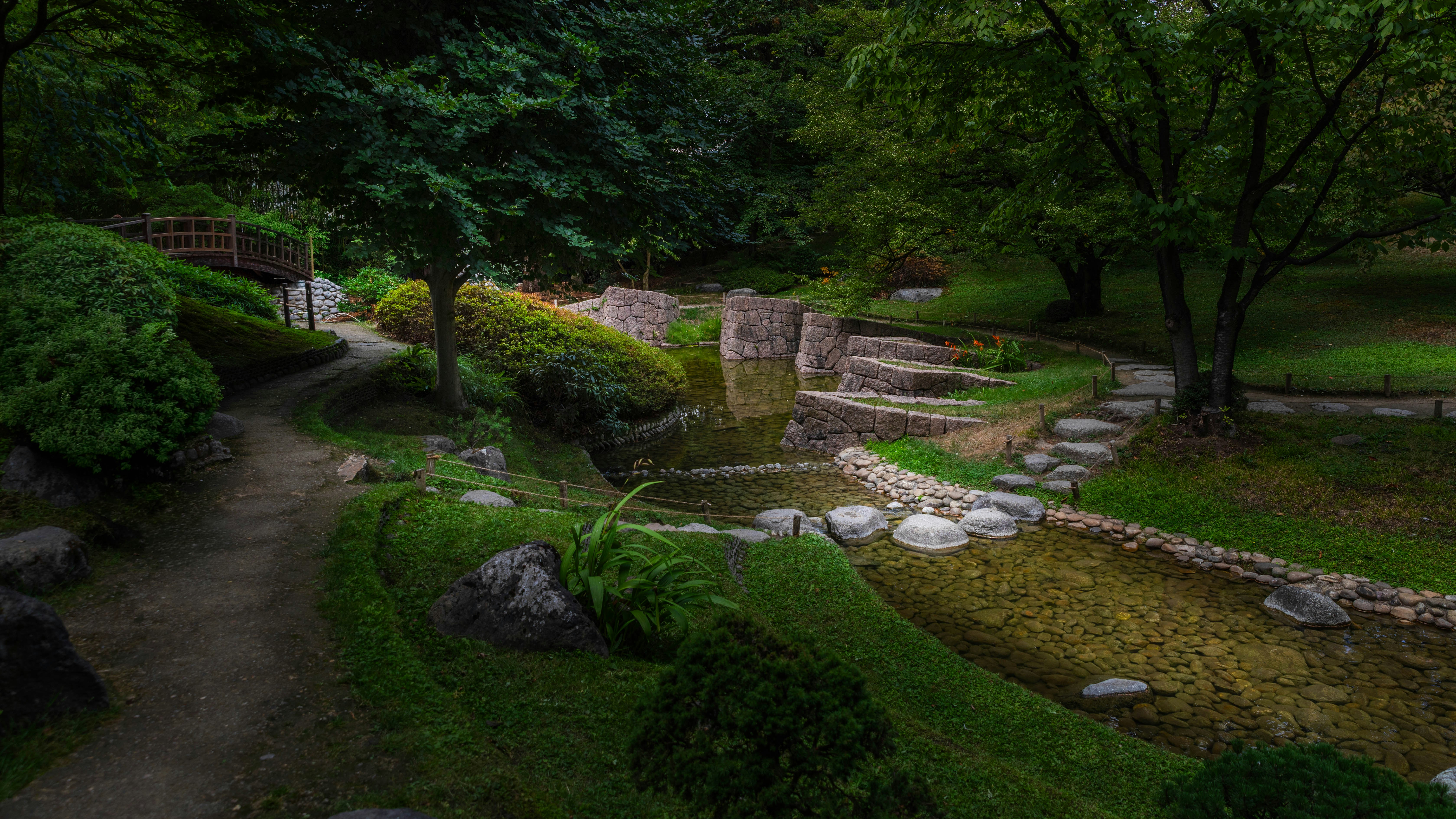 Serene Stone Steps Meet a Glistening Stream in a Green Oasis