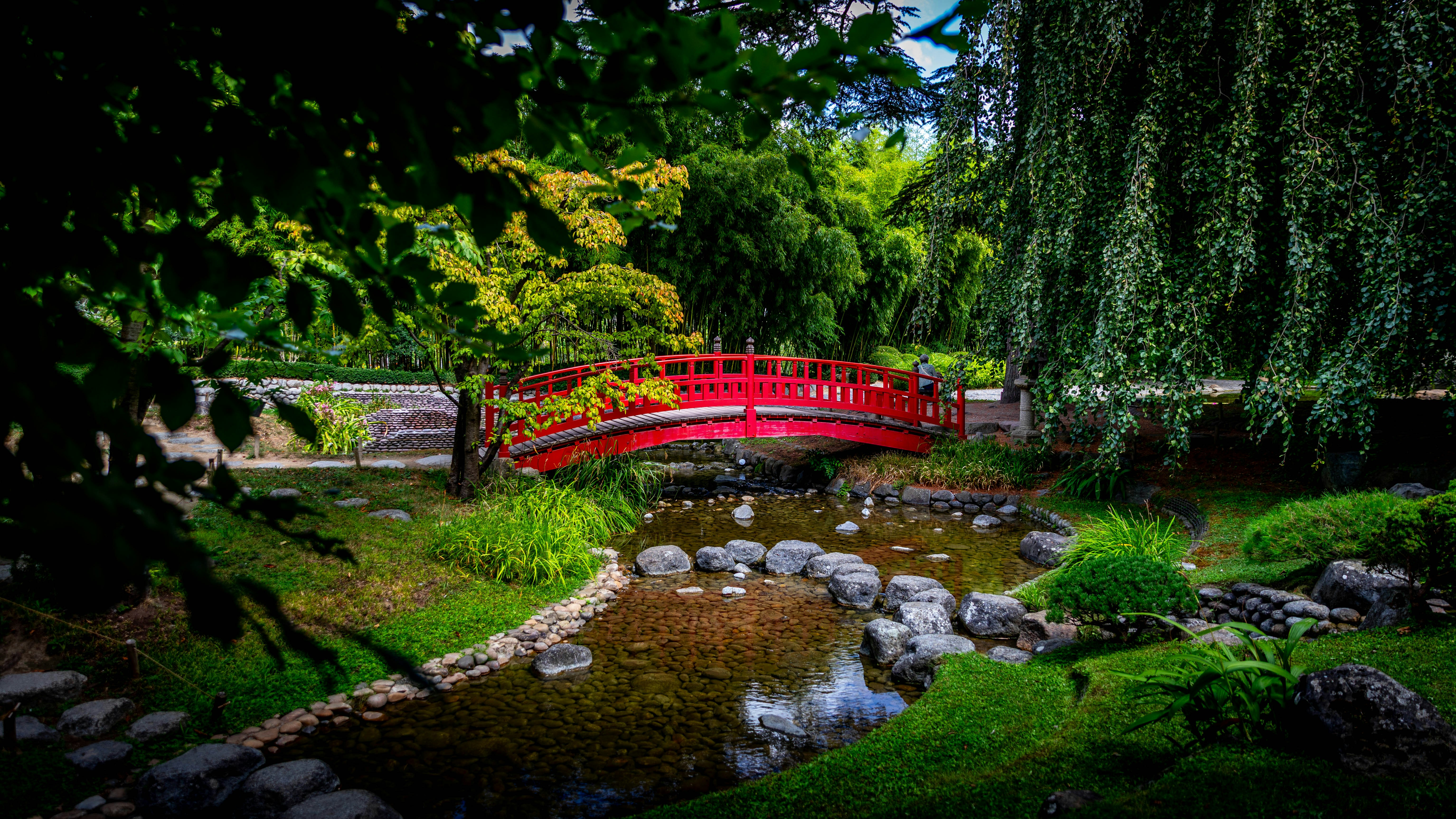 Crimson Crossing: A Serene Red Bridge Over a Quiet Stream