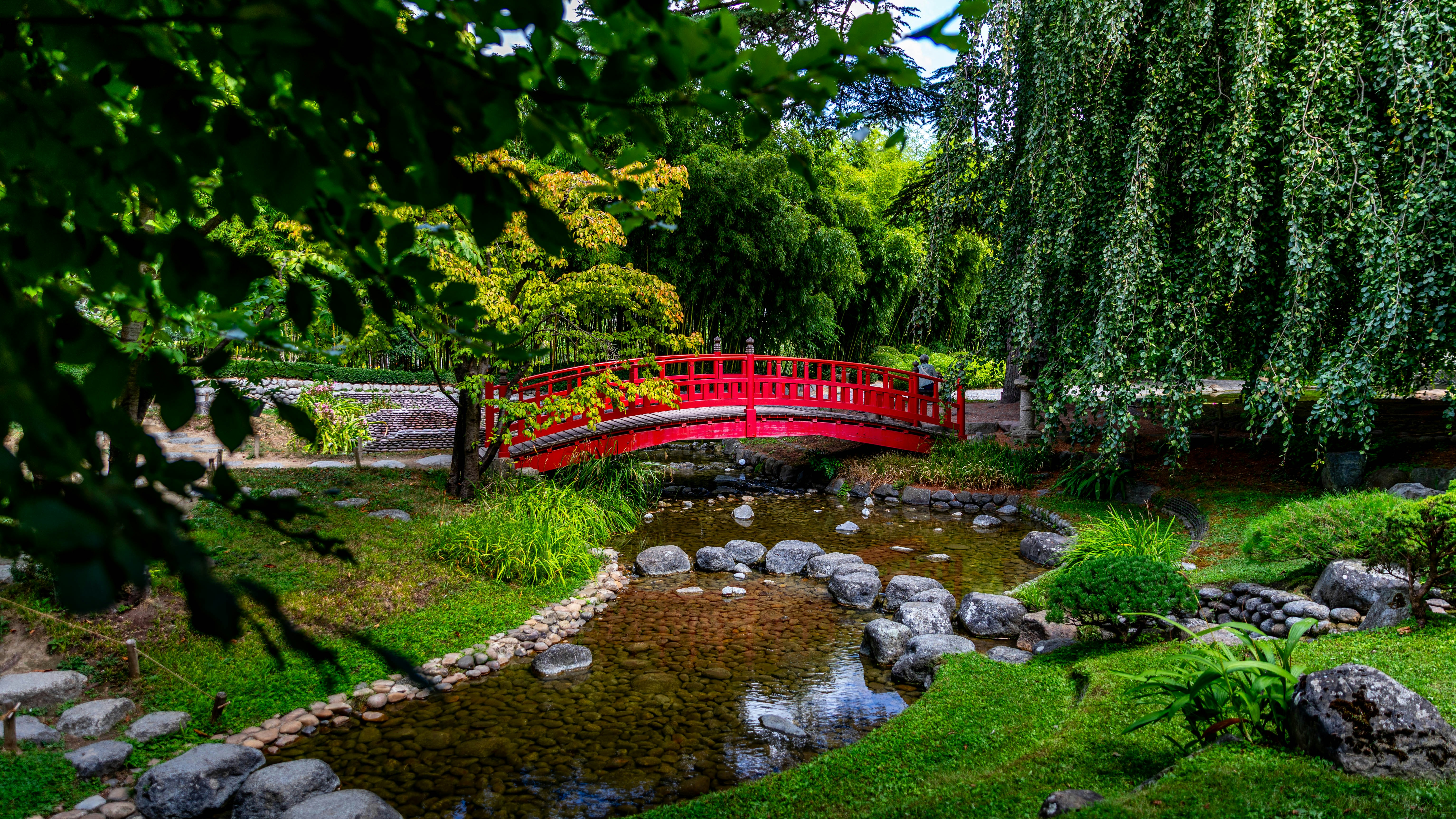 Red Arch Over Tranquil Stream: A Serene Japanese Garden Moment