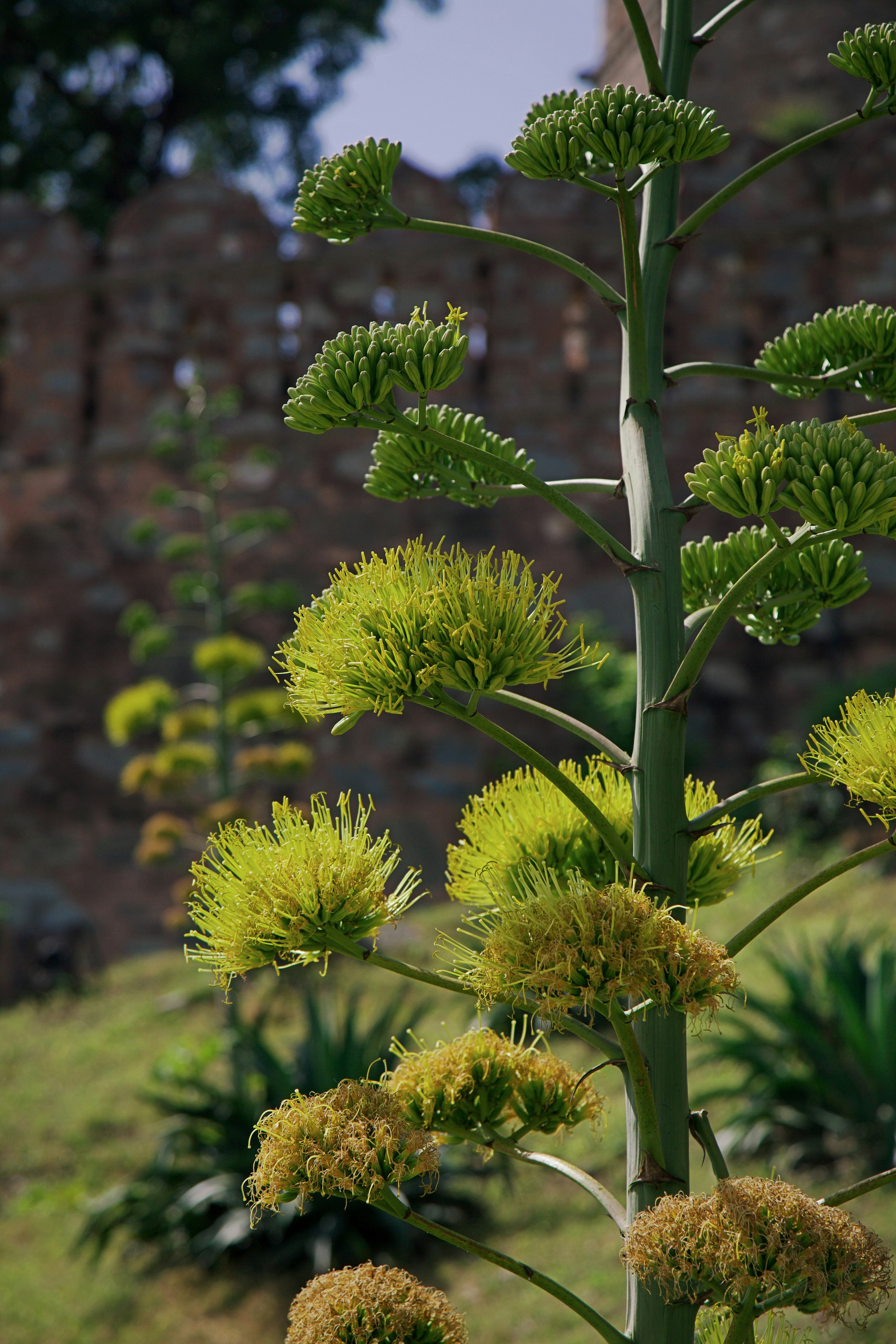 Photo by Abhishek Sagar with Canon EOS 5D Mark III