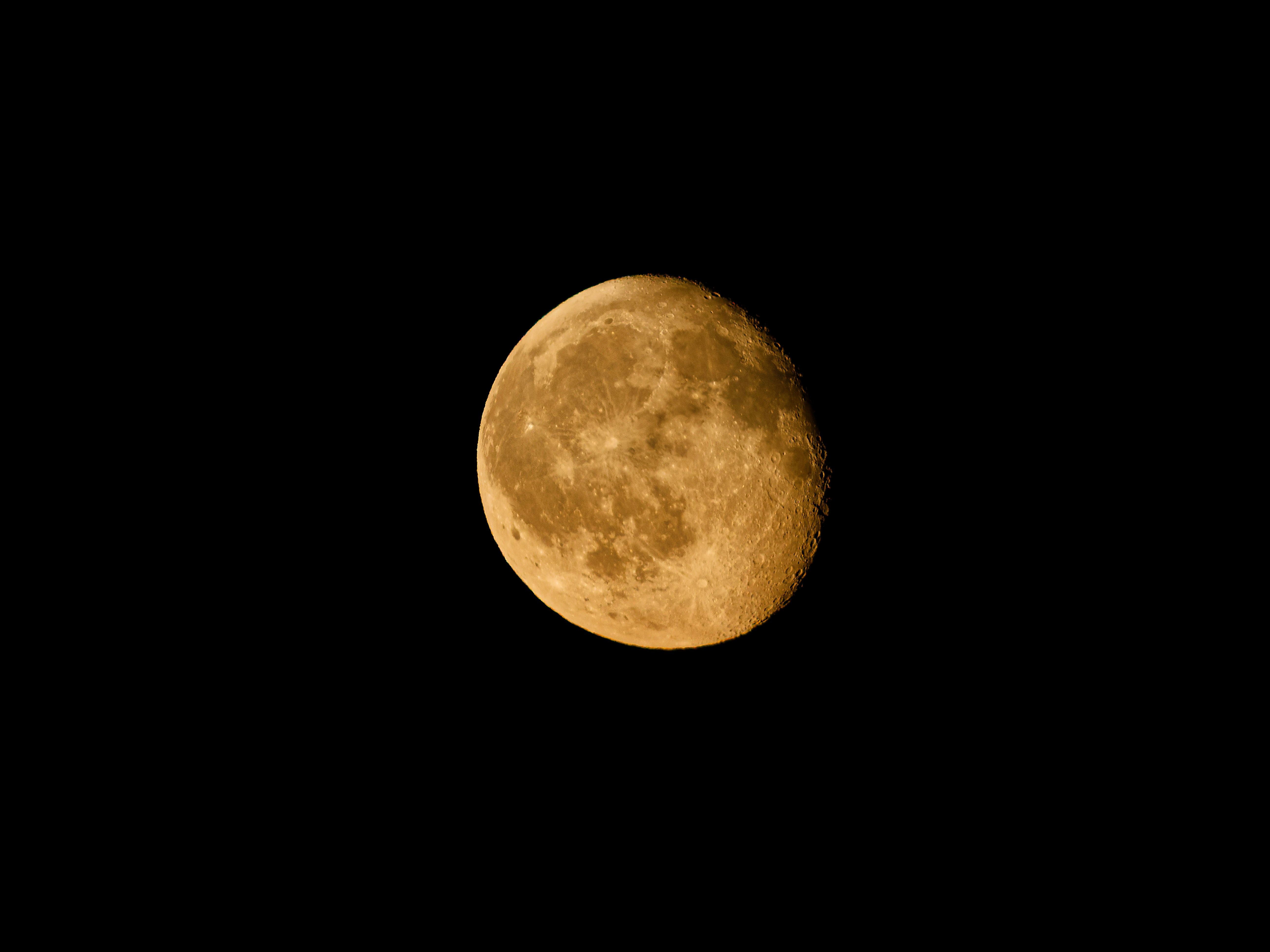 Golden Moon in a Velvet Silence