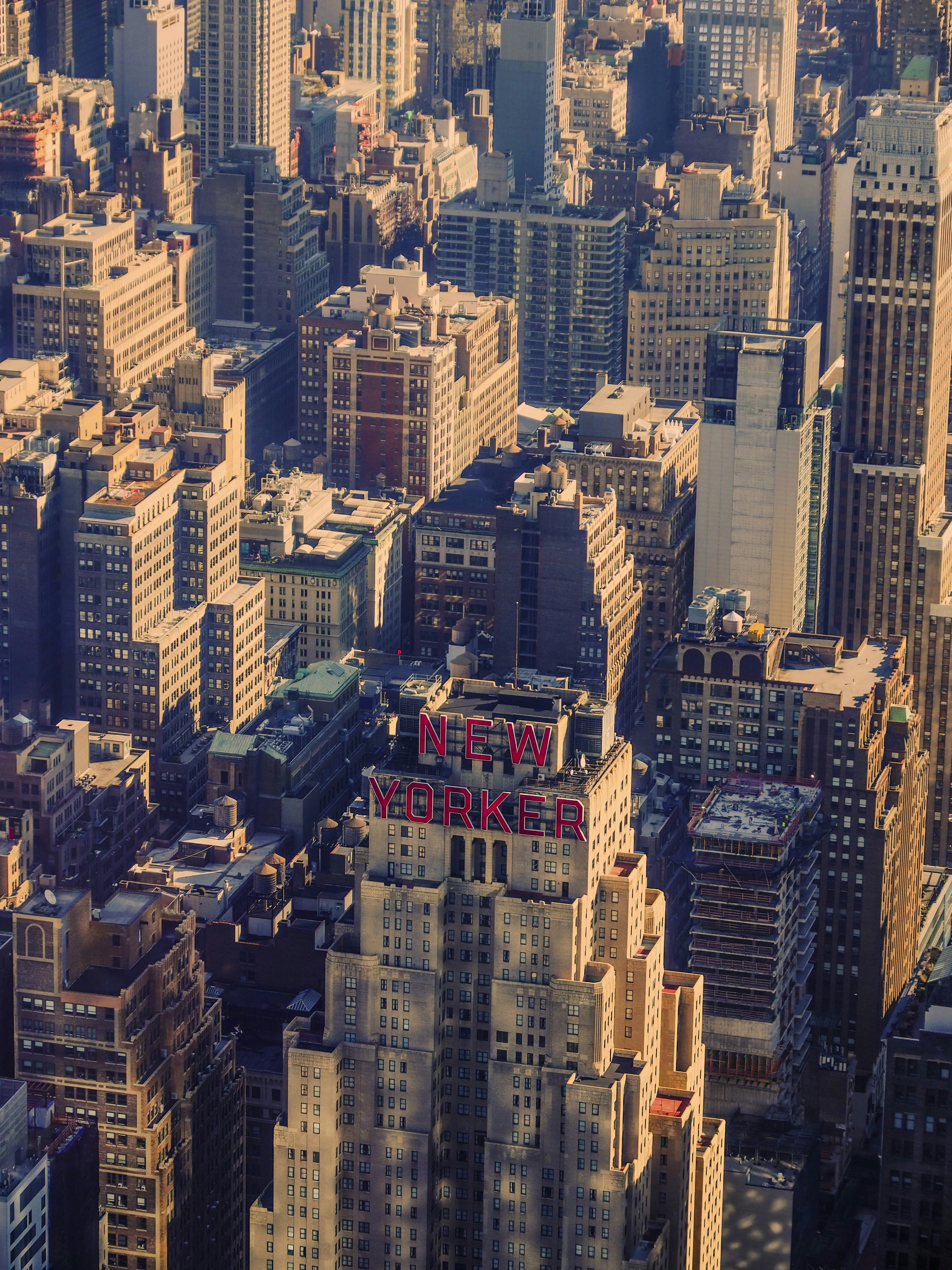 New Yorkers at Noon: The Crest of the Empire