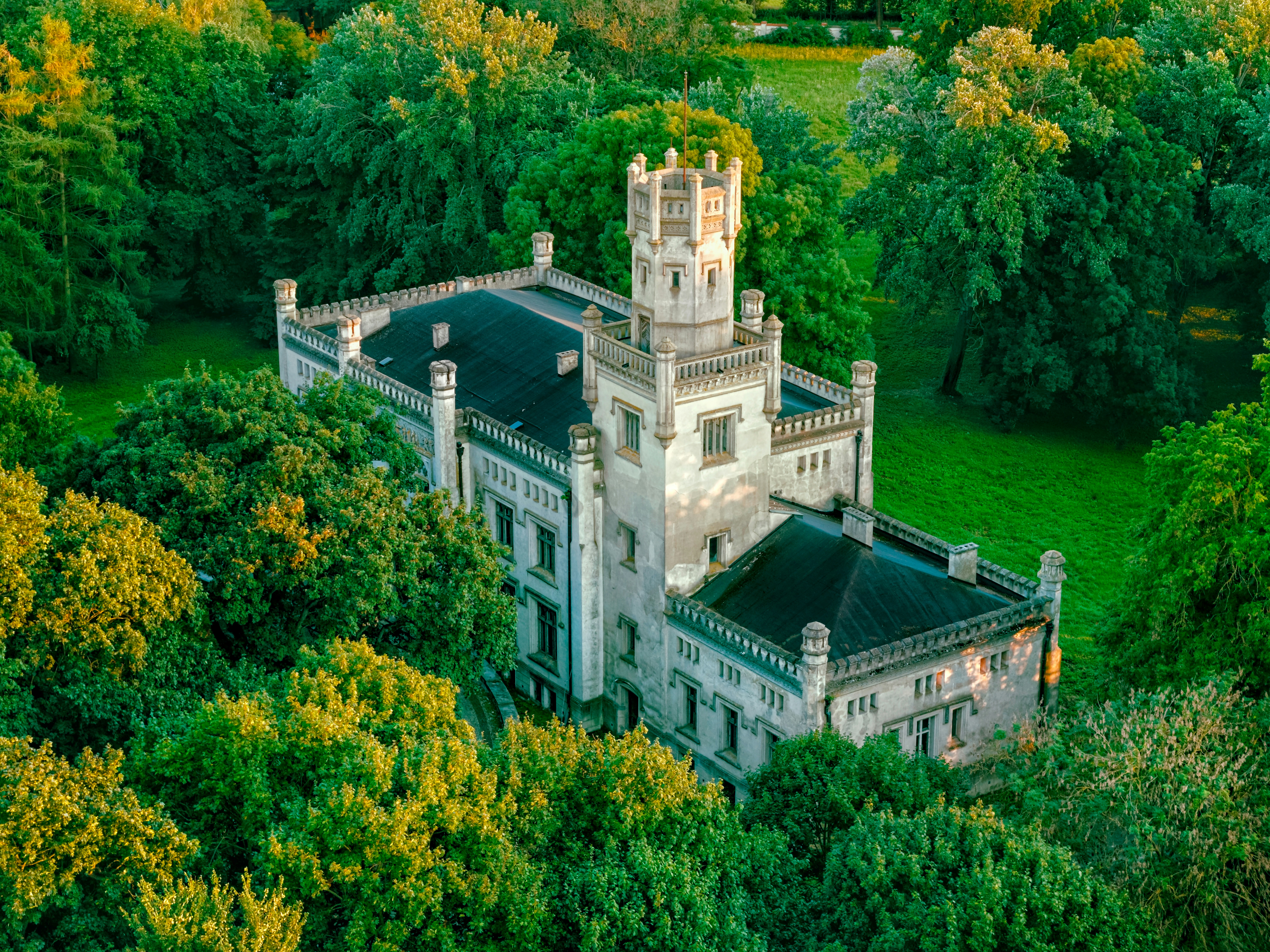 Mottled Towered Manor Rising from a Emerald Canopy