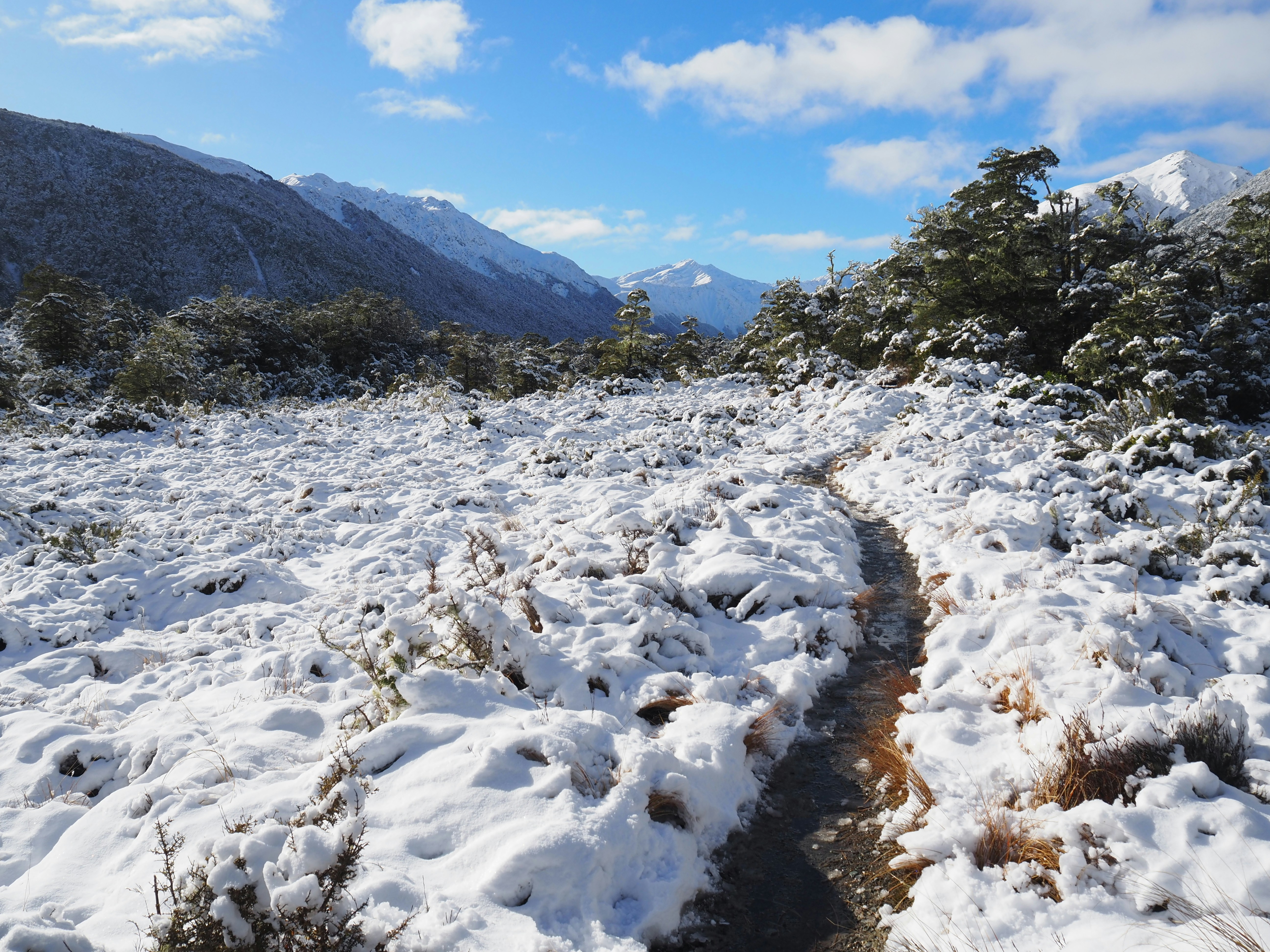 Snowbound Basin Trail Under a Clear Alpine Sky