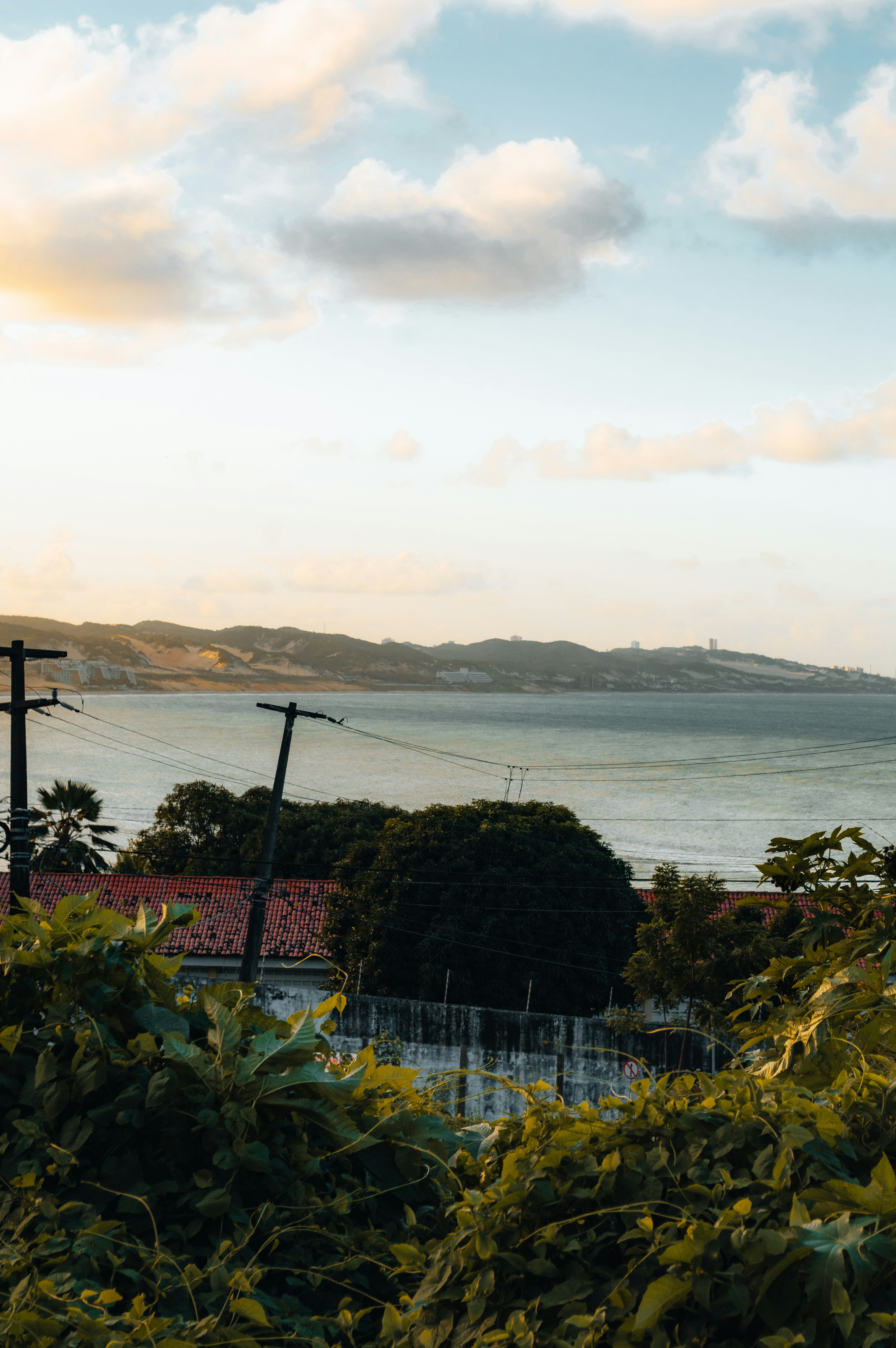 Coastal Quiet: Distant Hills and Rooftops Framed by Garden Foliage