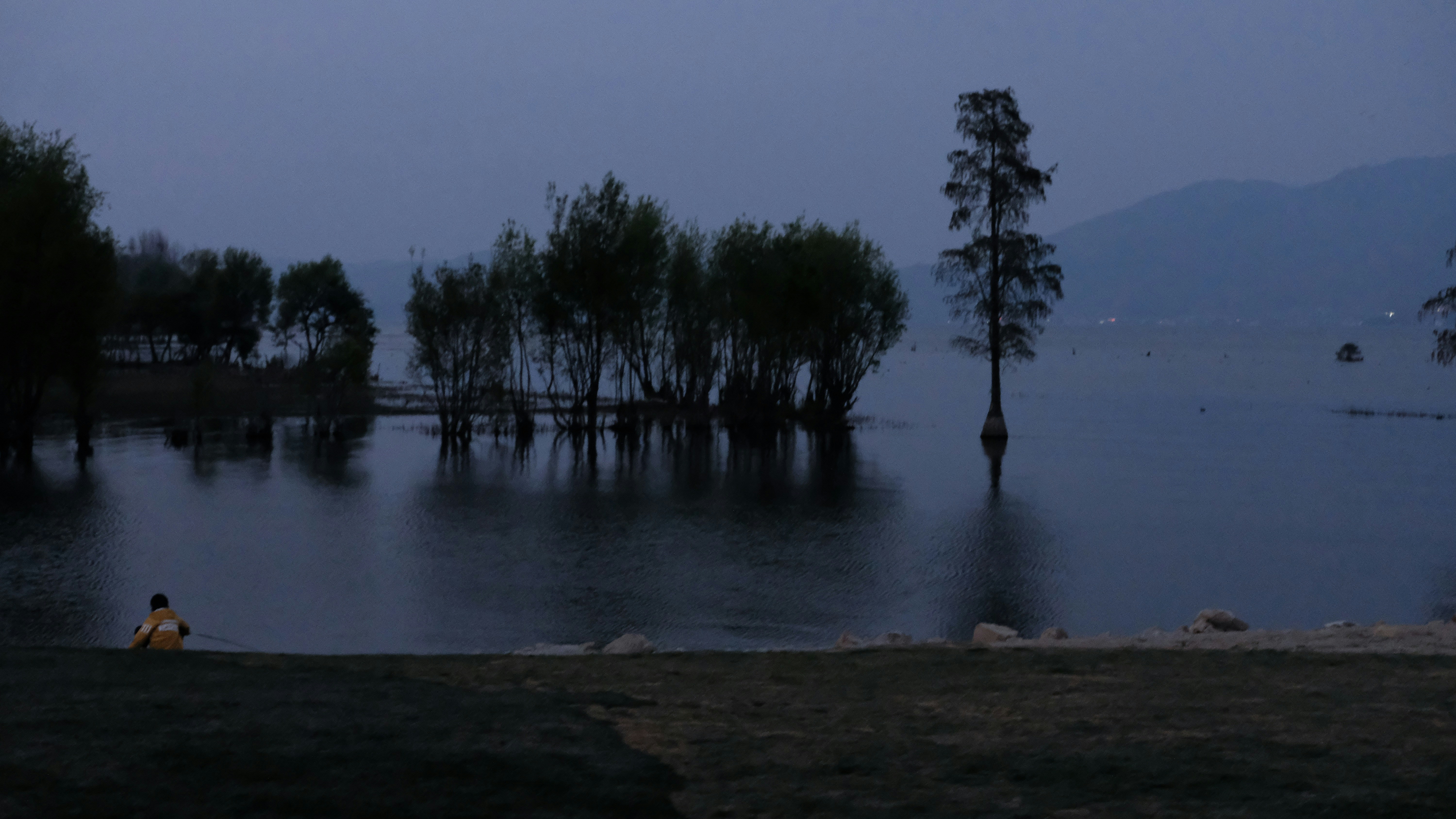 Silhouetted Trees at Dusk Across a Quiet Lake