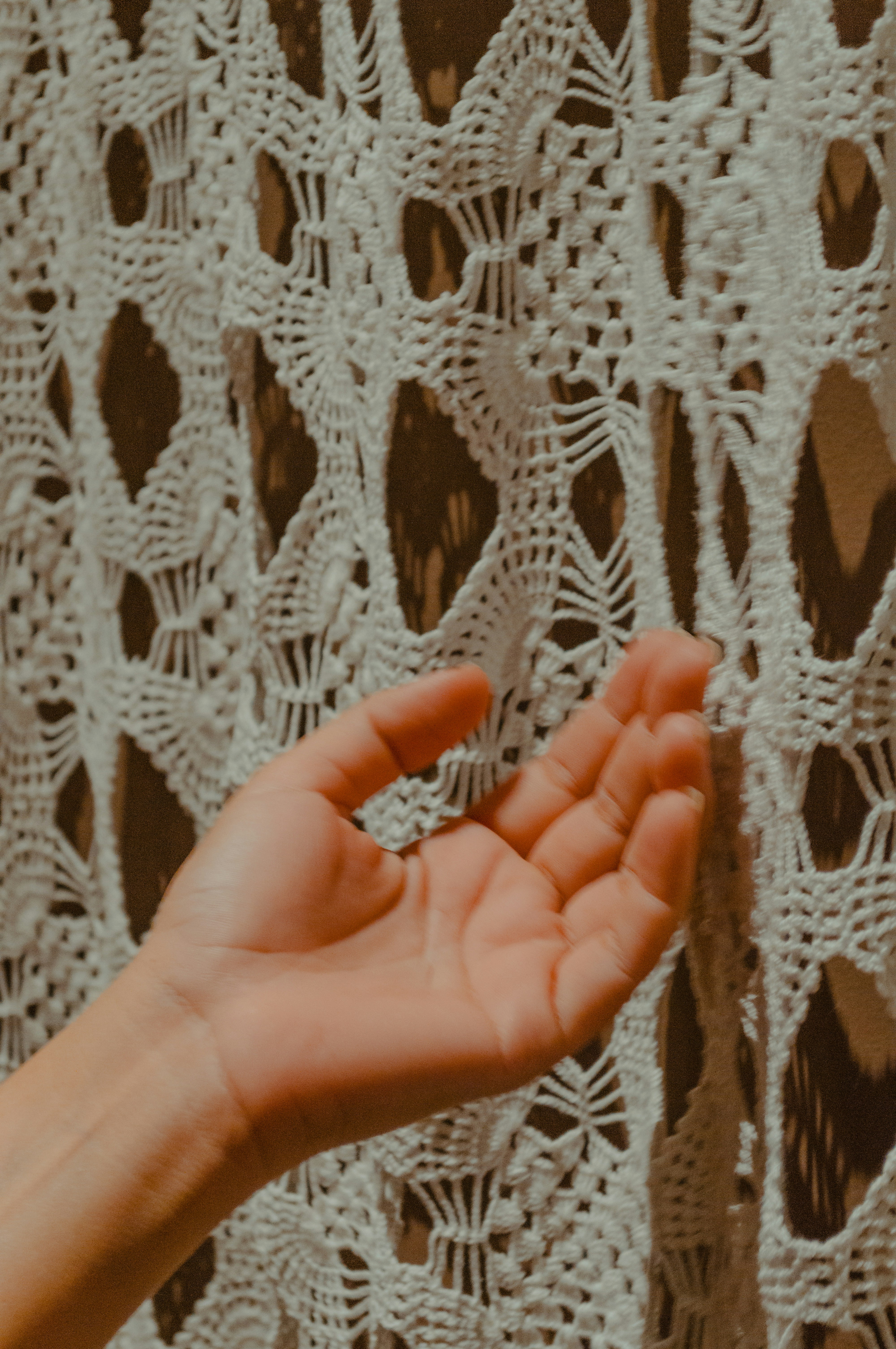 Hand Reaching Across a Lace Curtain: Soft Focus and Warm Tones