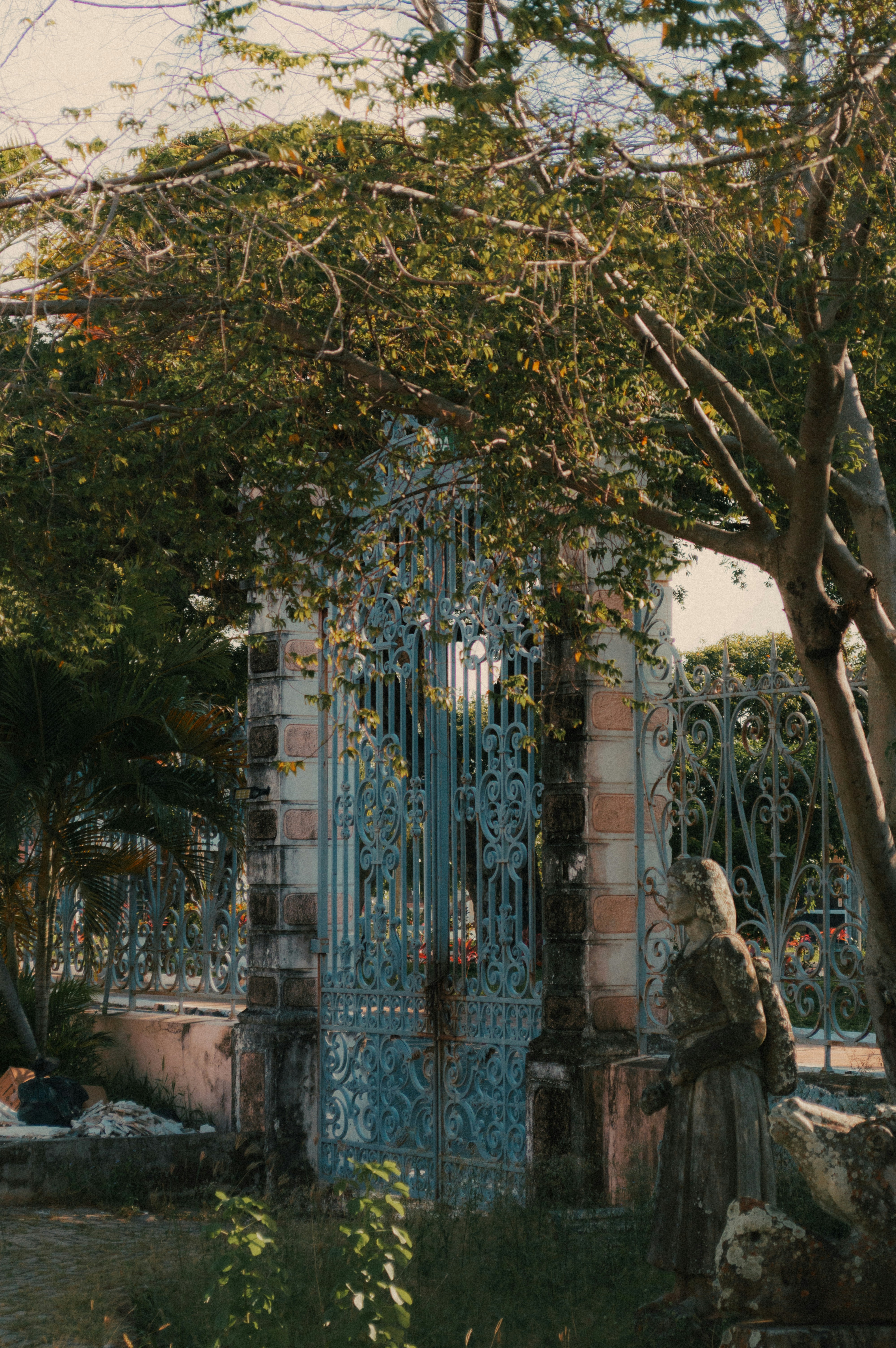 Wrought-iron Gate Framed by Vine and Stone Statue