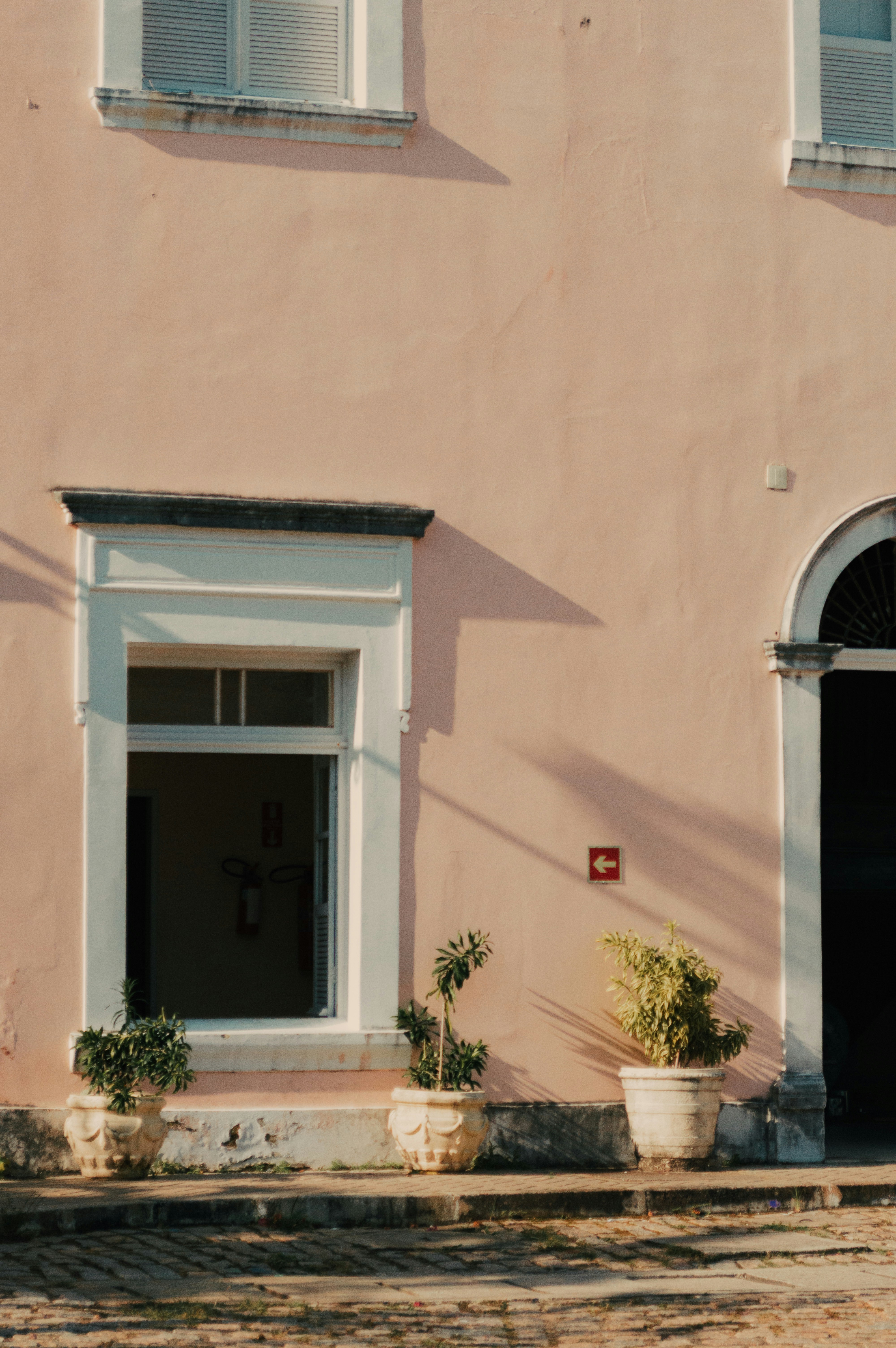 Pastel Facade with Plant Pot Symmetry