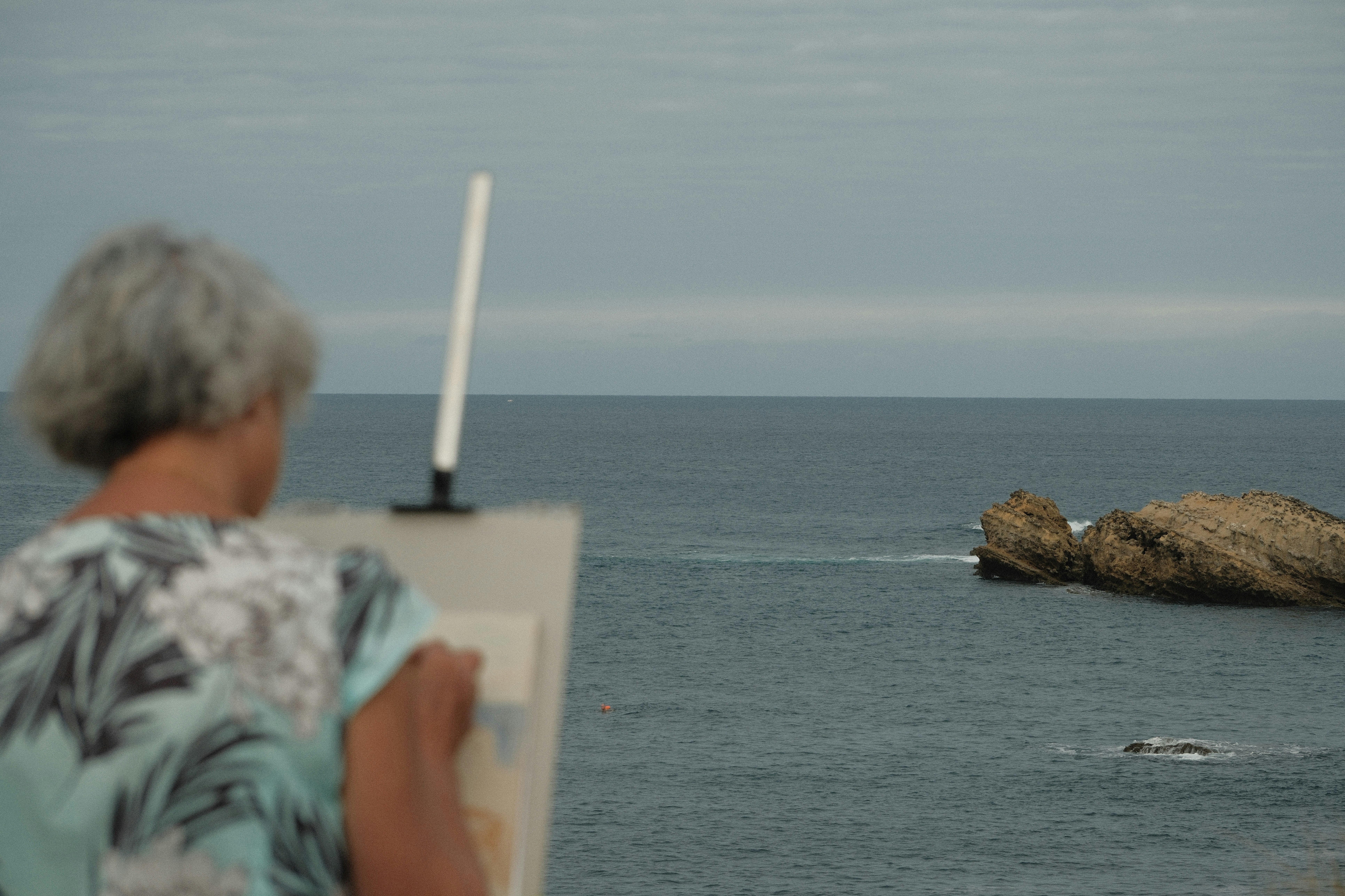 Brushstrokes Over the Sea: The Quiet Painter on a Coastal Day