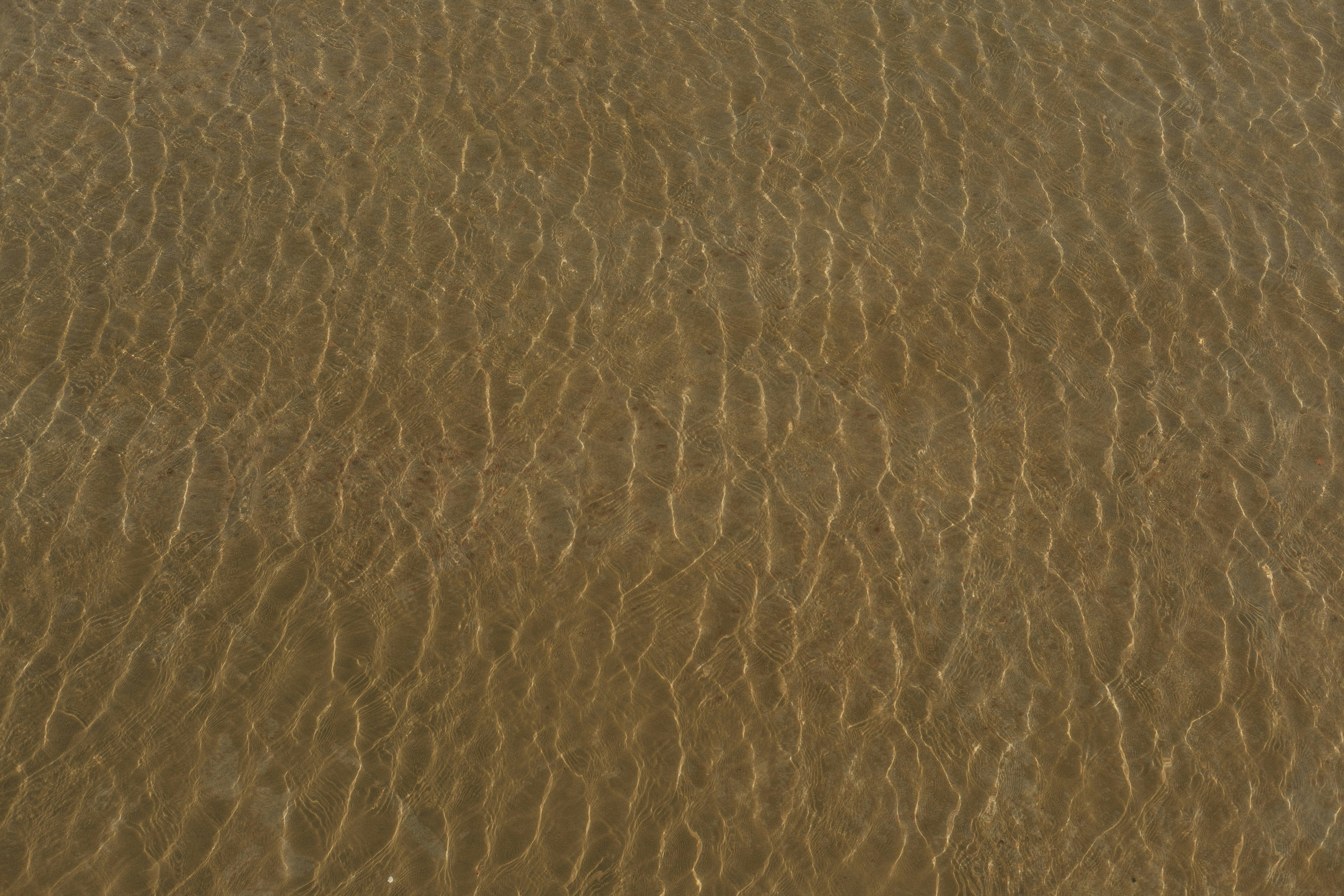 Golden Skin Texture: Quiet Tides of Leather Grain