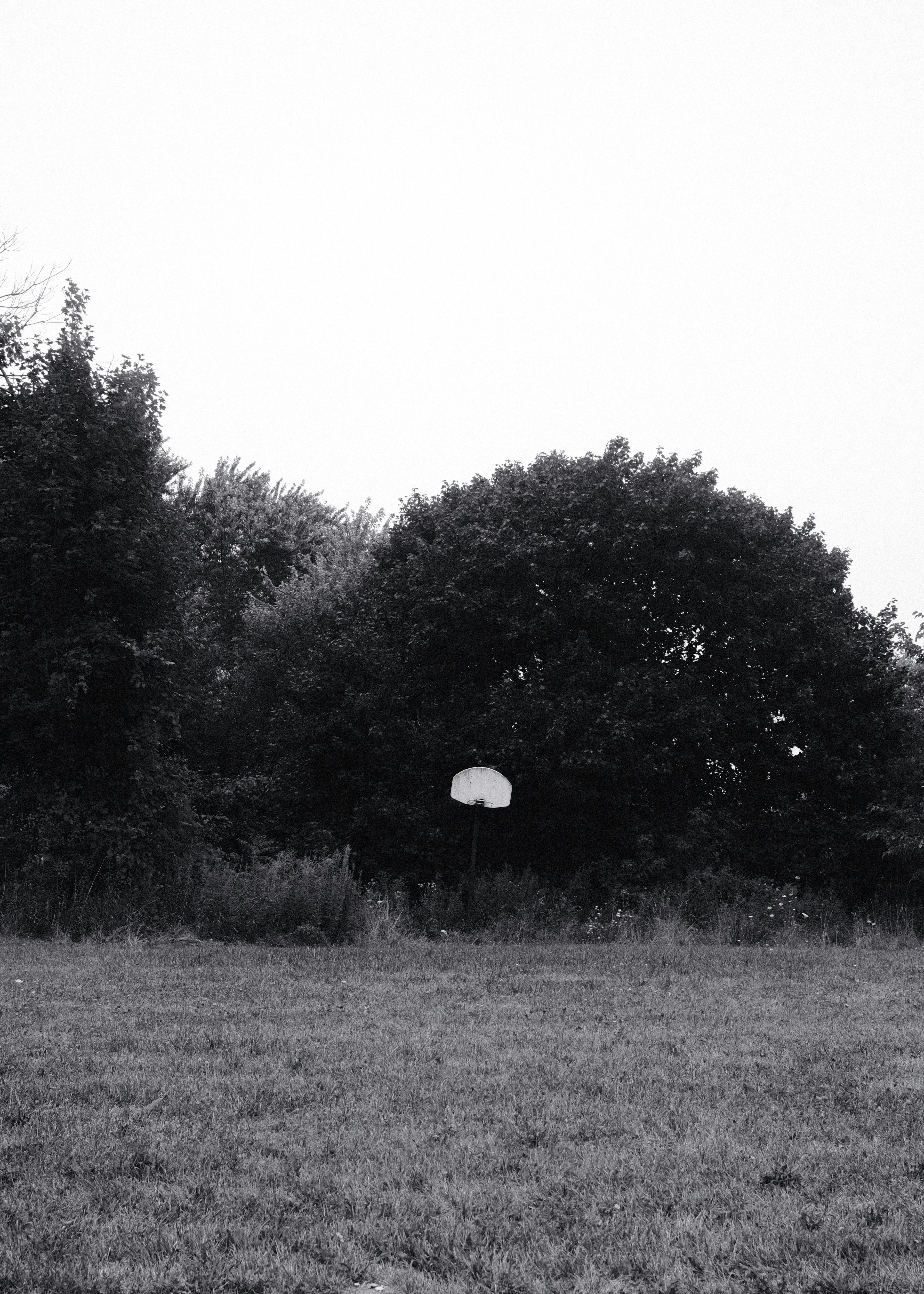 Basketball Hoop Emerges from a Quiet Field