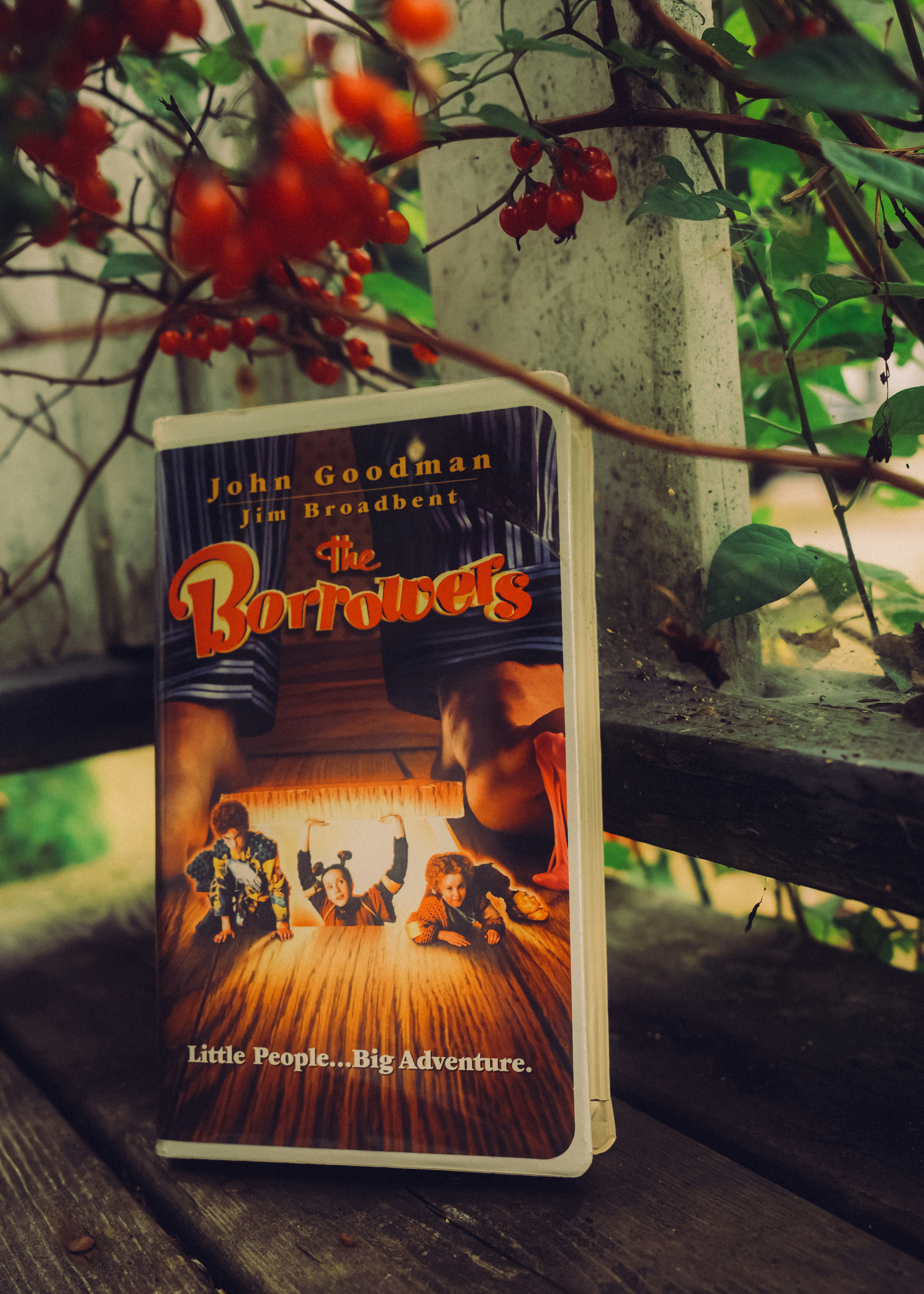 Borrowed Time: A Tiny Book on a Weathered Bench
