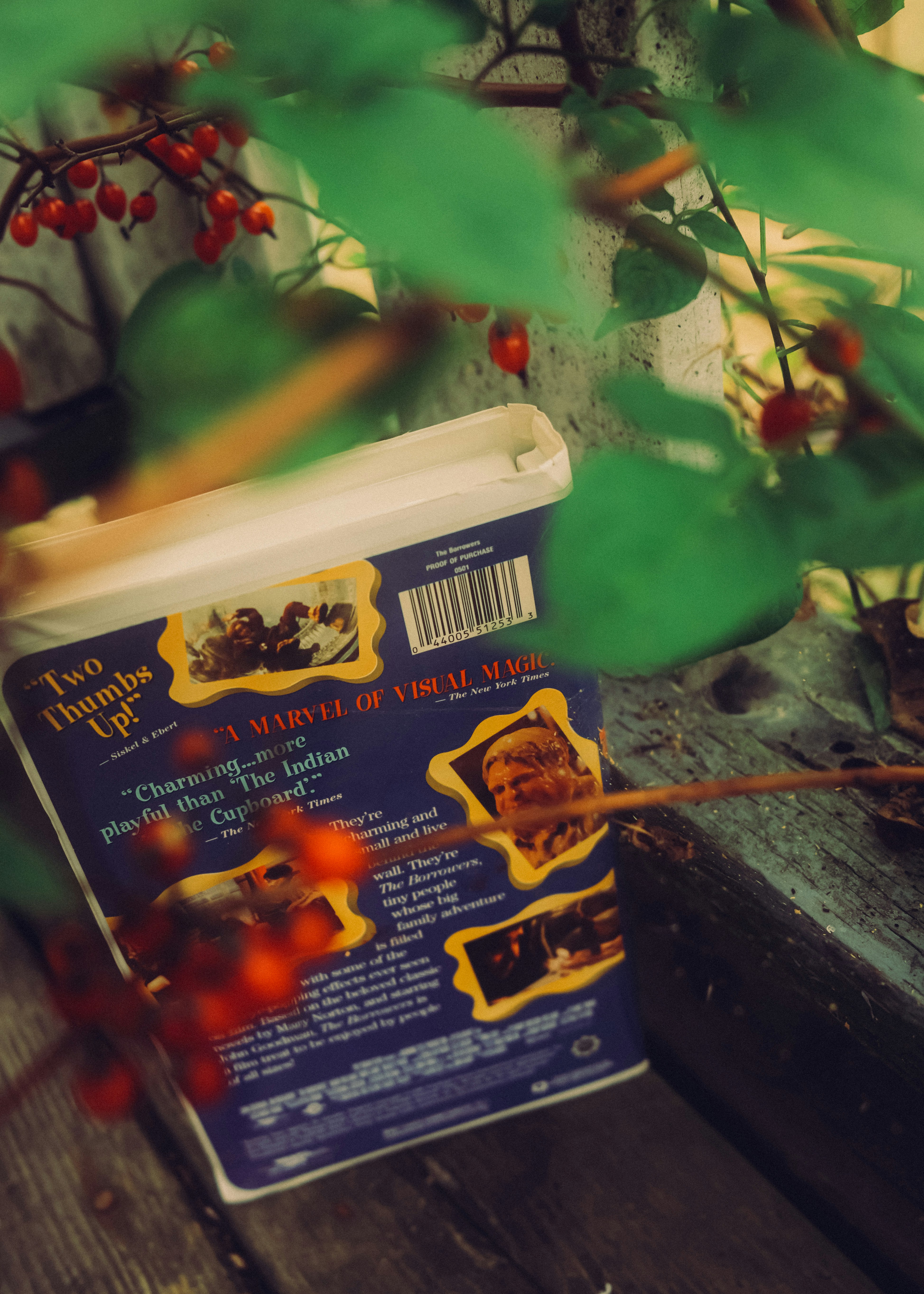 Submerged Retro Jumble: A Blu-Backed Box Under Red Berries