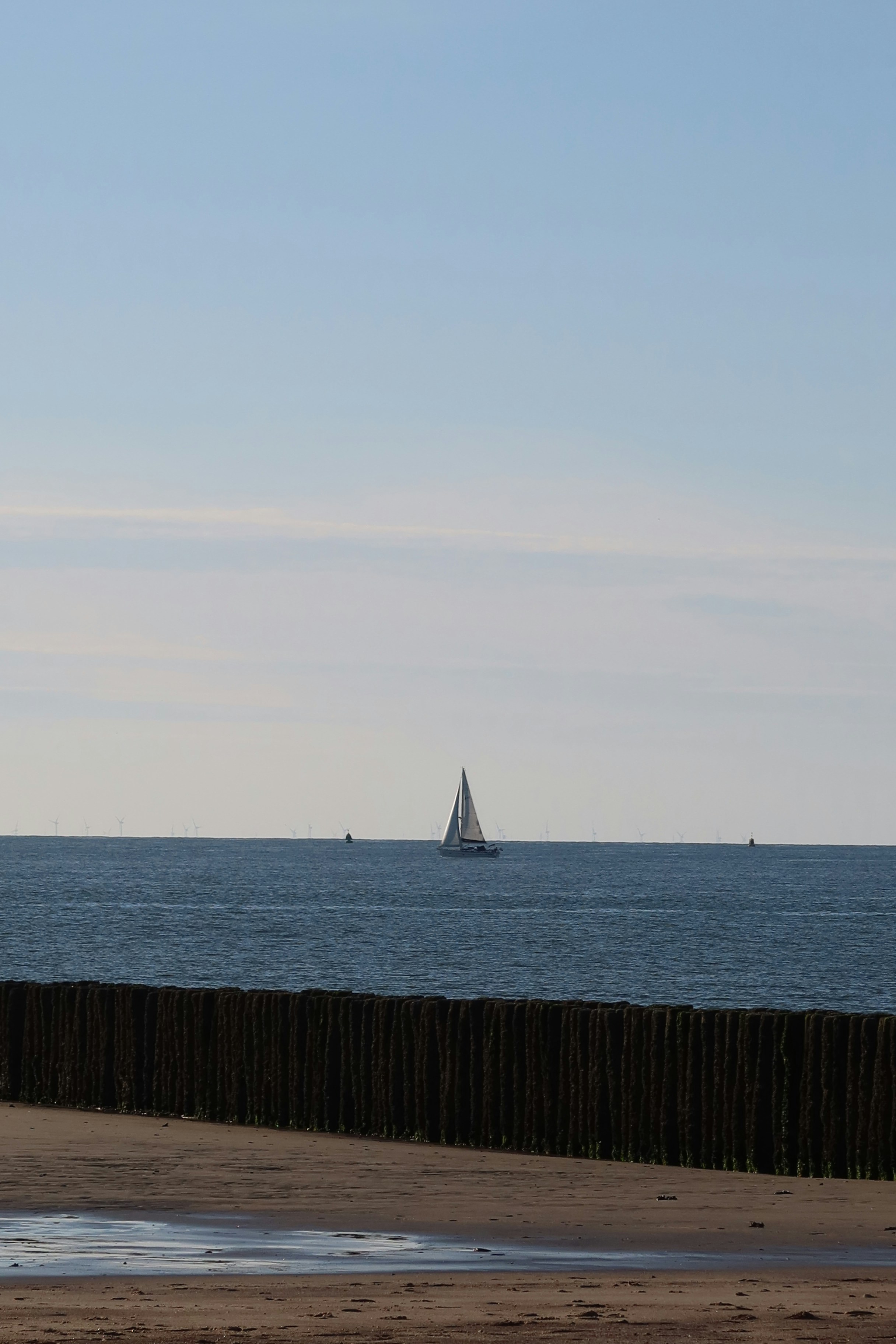 Sailboat on a Quiet Horizon