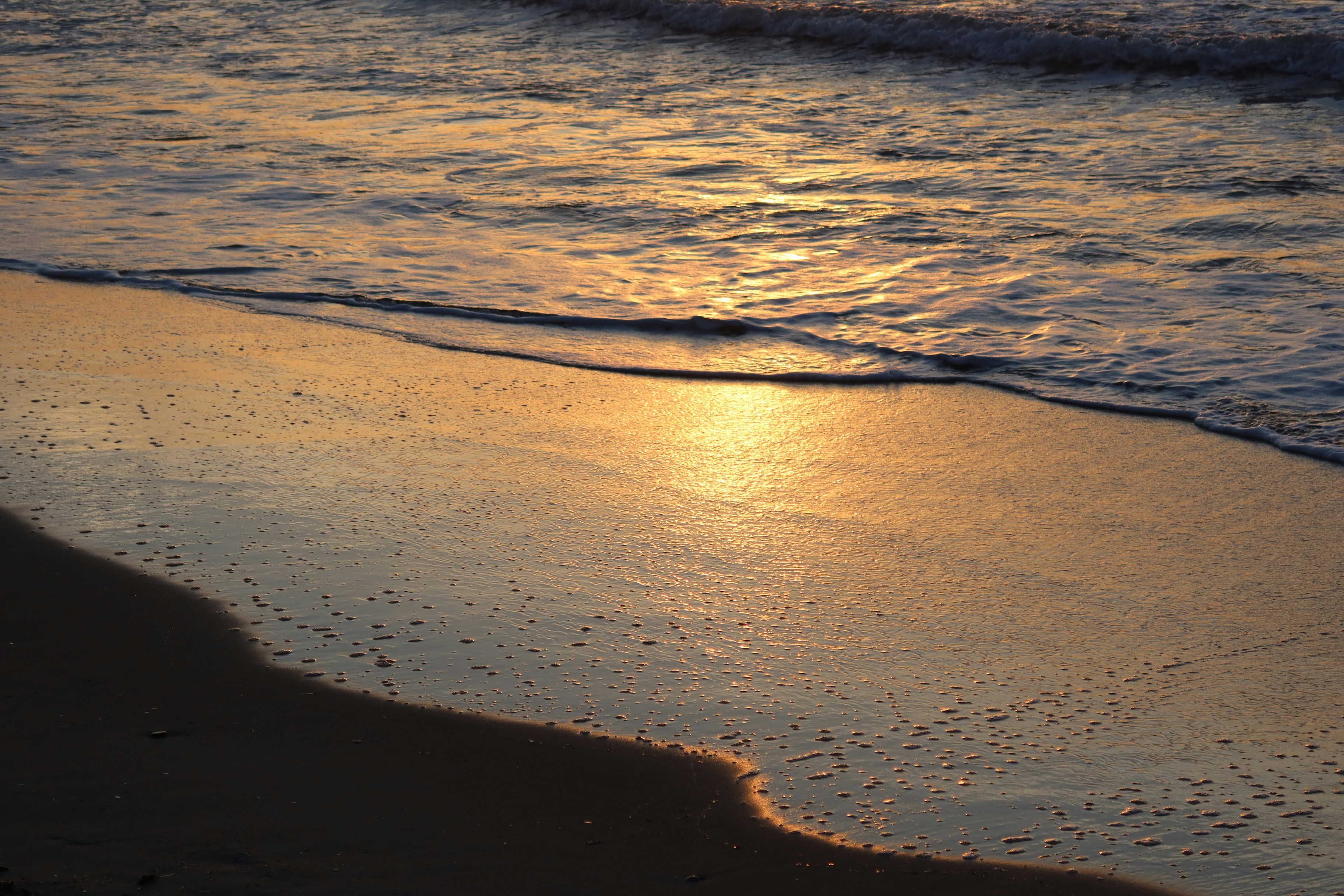 Golden shoreline at low tide reflecting the sunset