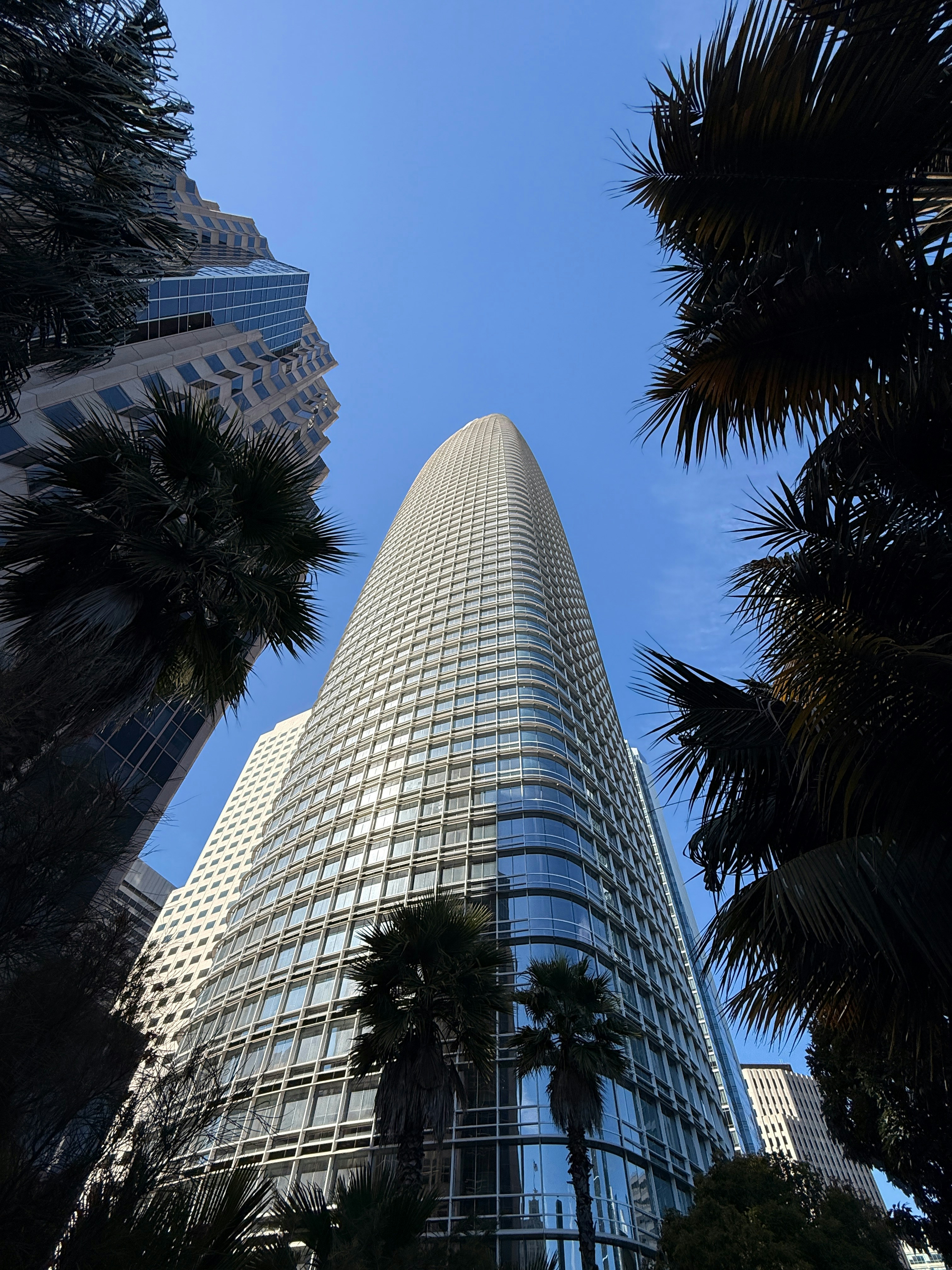 Toward the Sky: A Cylindrical Tower Surrounded by Palm Fronds