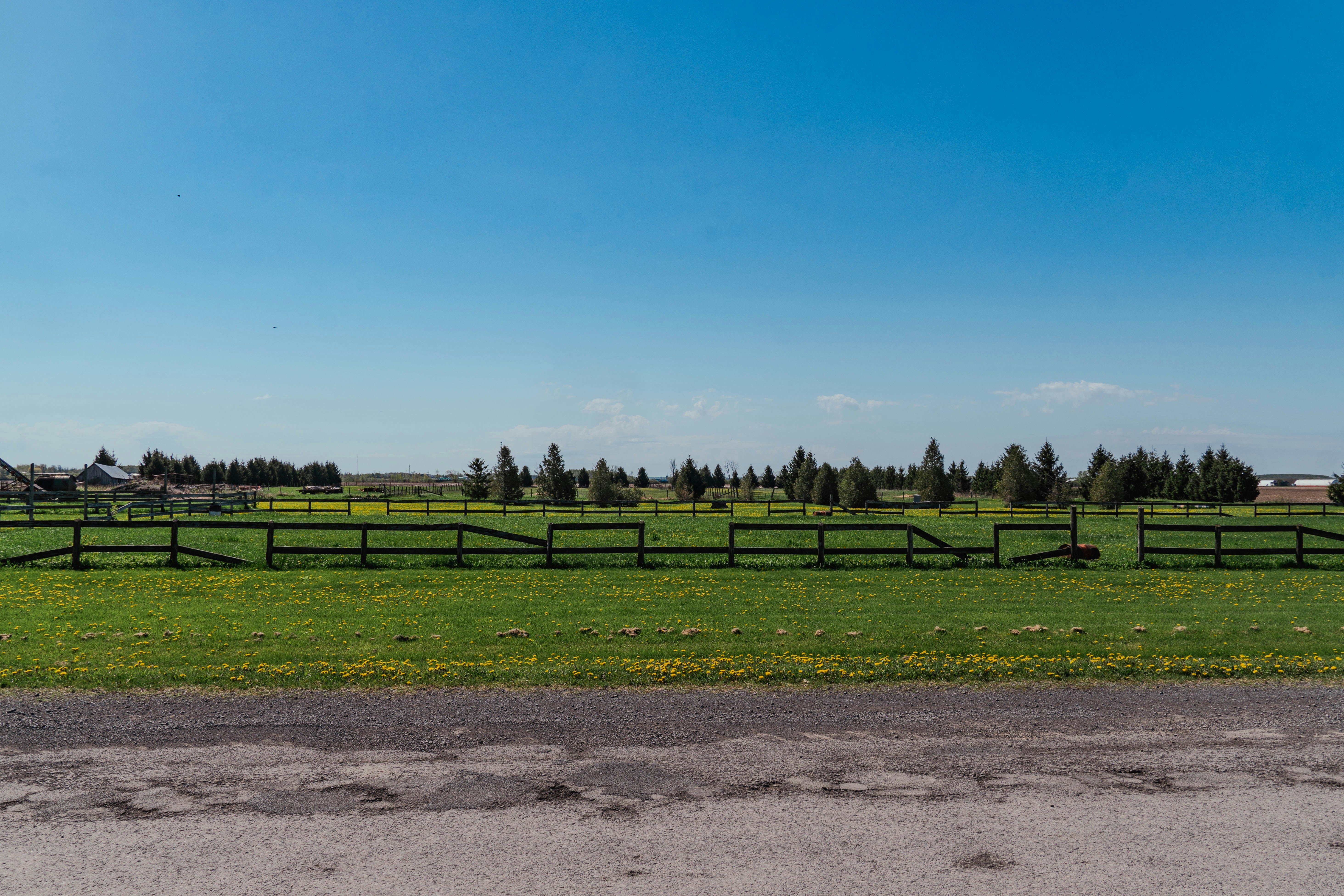 Quiet Horizon: Fence Line and Open Field Under a Clear Sky