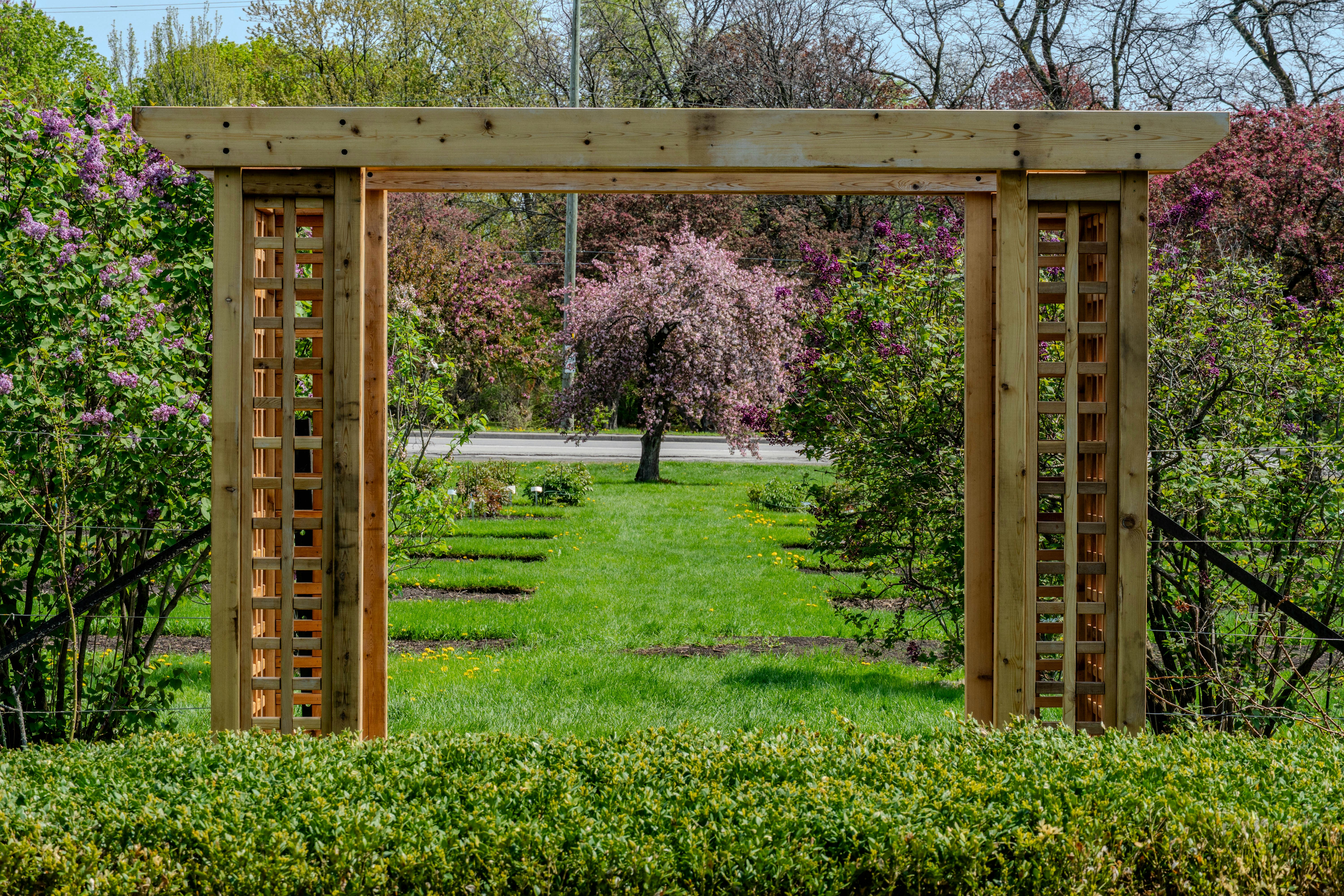Wooden Frame to a Blossom Corridor