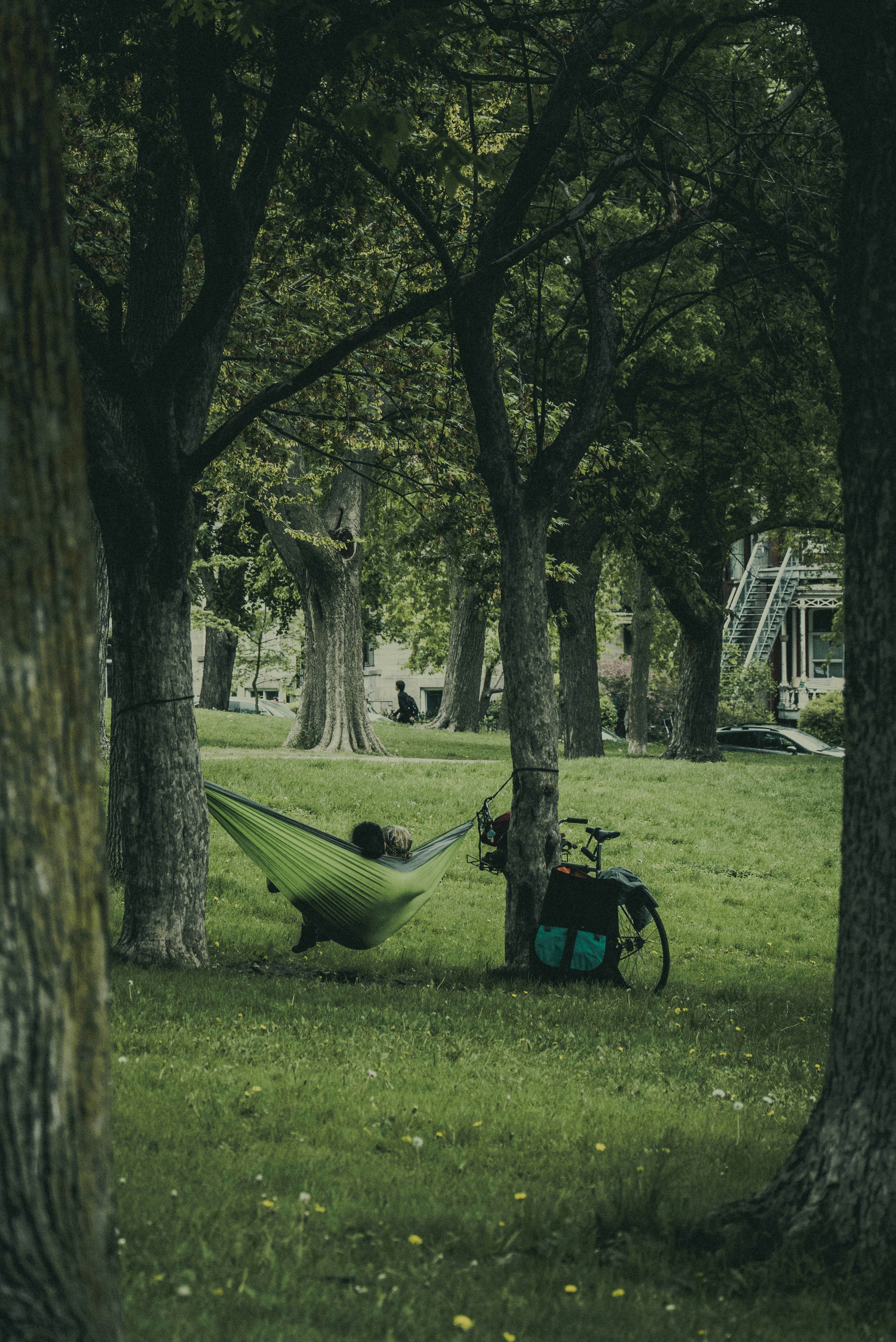 Silent Hammock in the Shade: A Quiet Park Moment