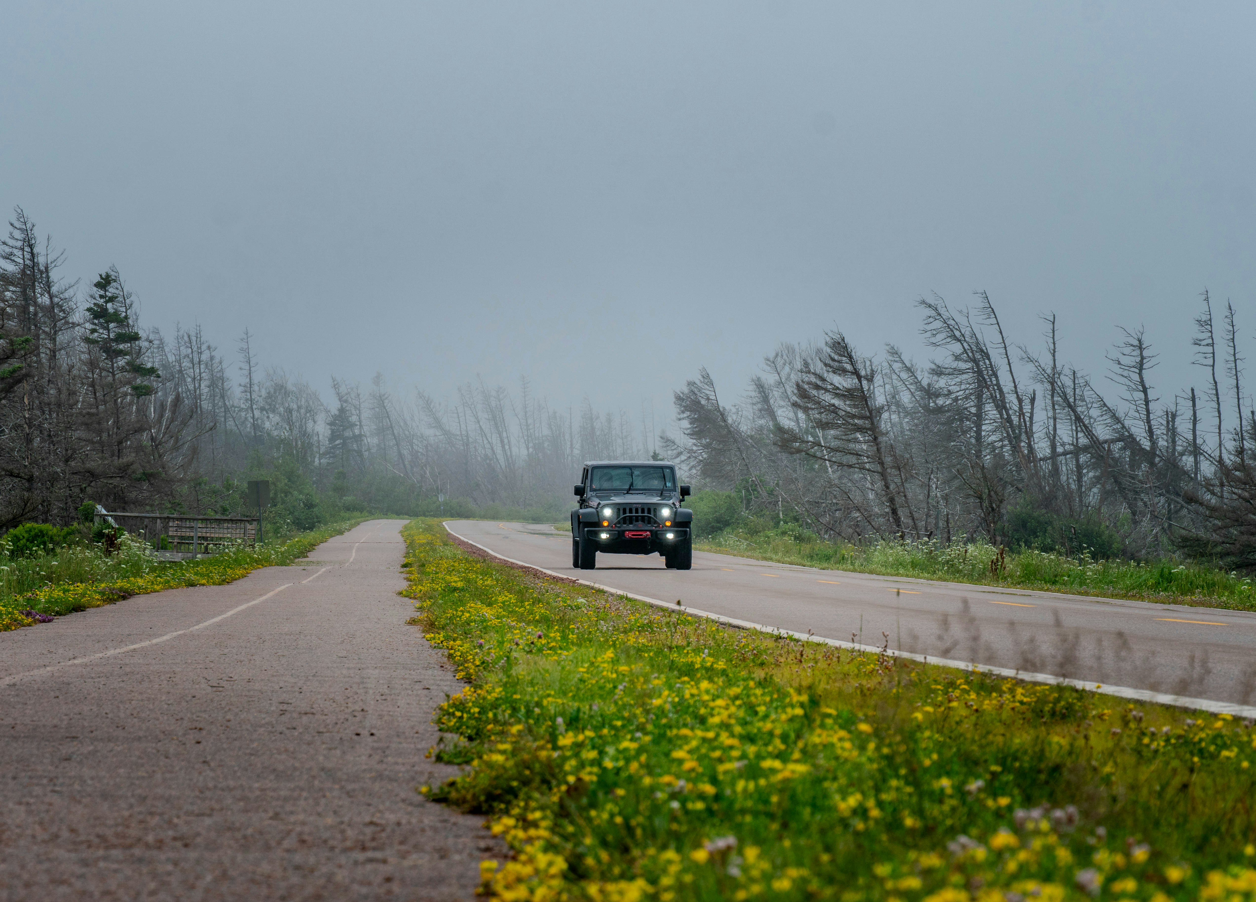 Horizon Patrol: A lone Jeep on a fog-tinged country road