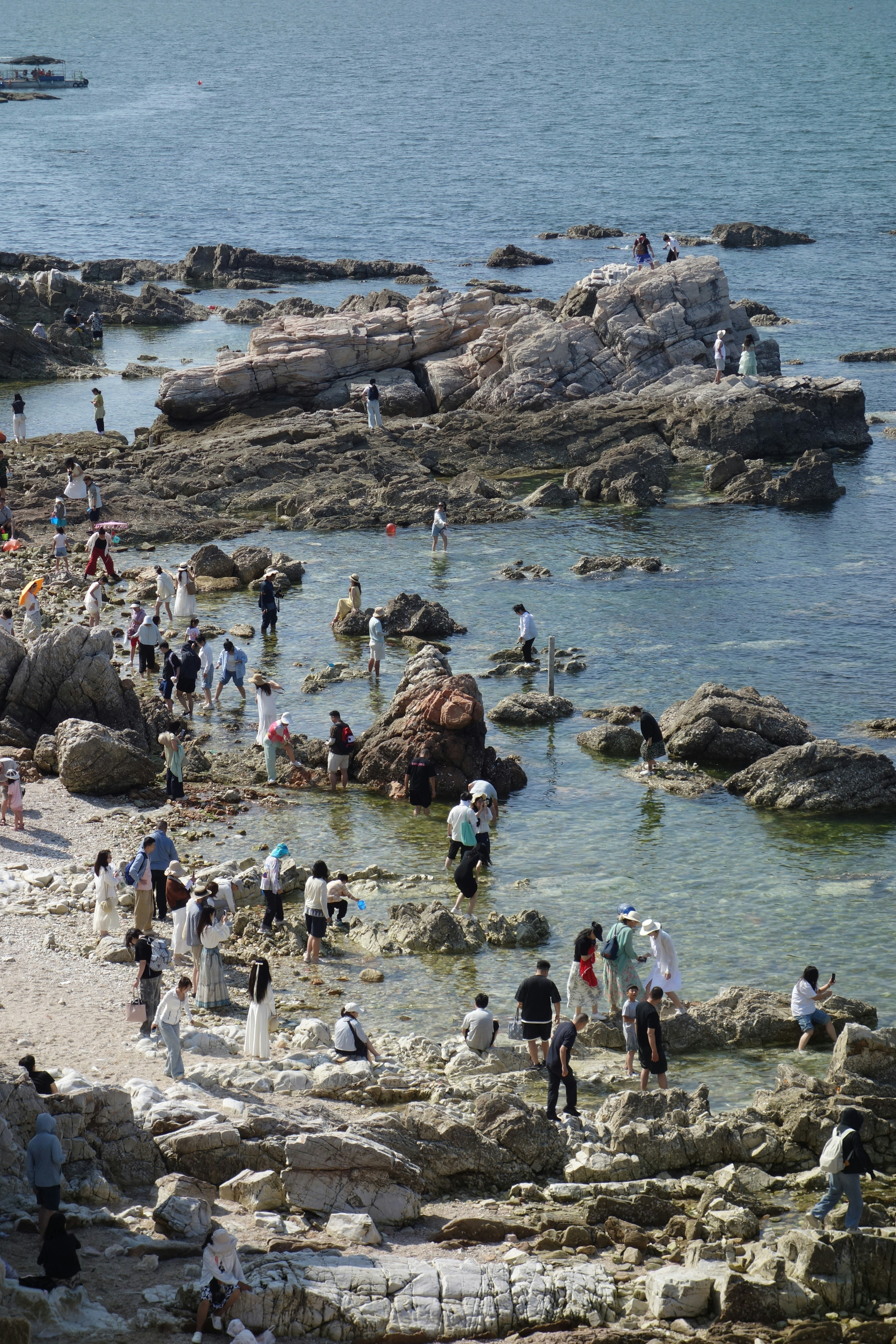 Rugged shoreline Playground: Families Exploring Tidal Pools