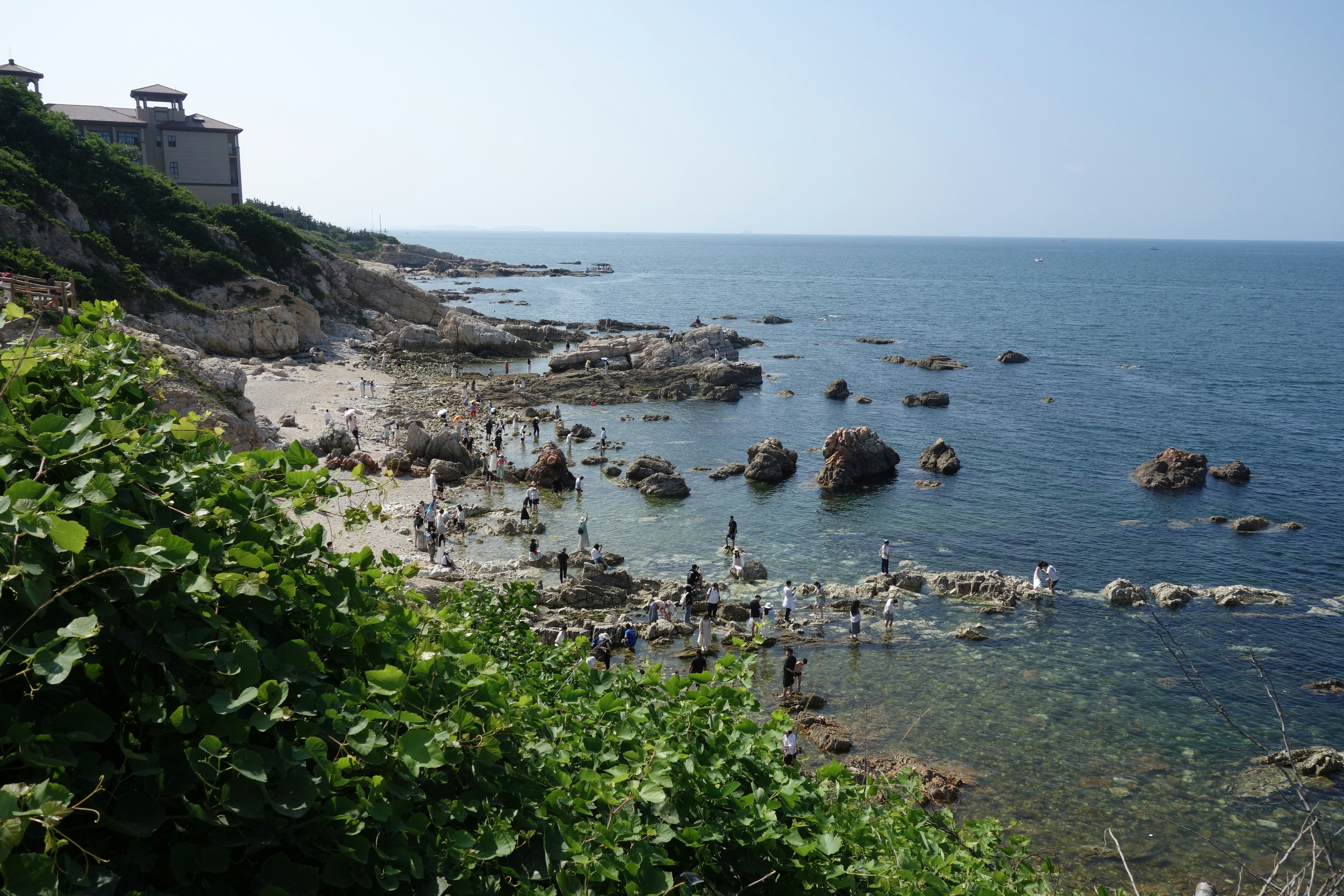 Rocky Cove Streaked with Sunlit Greens and Teal Waters