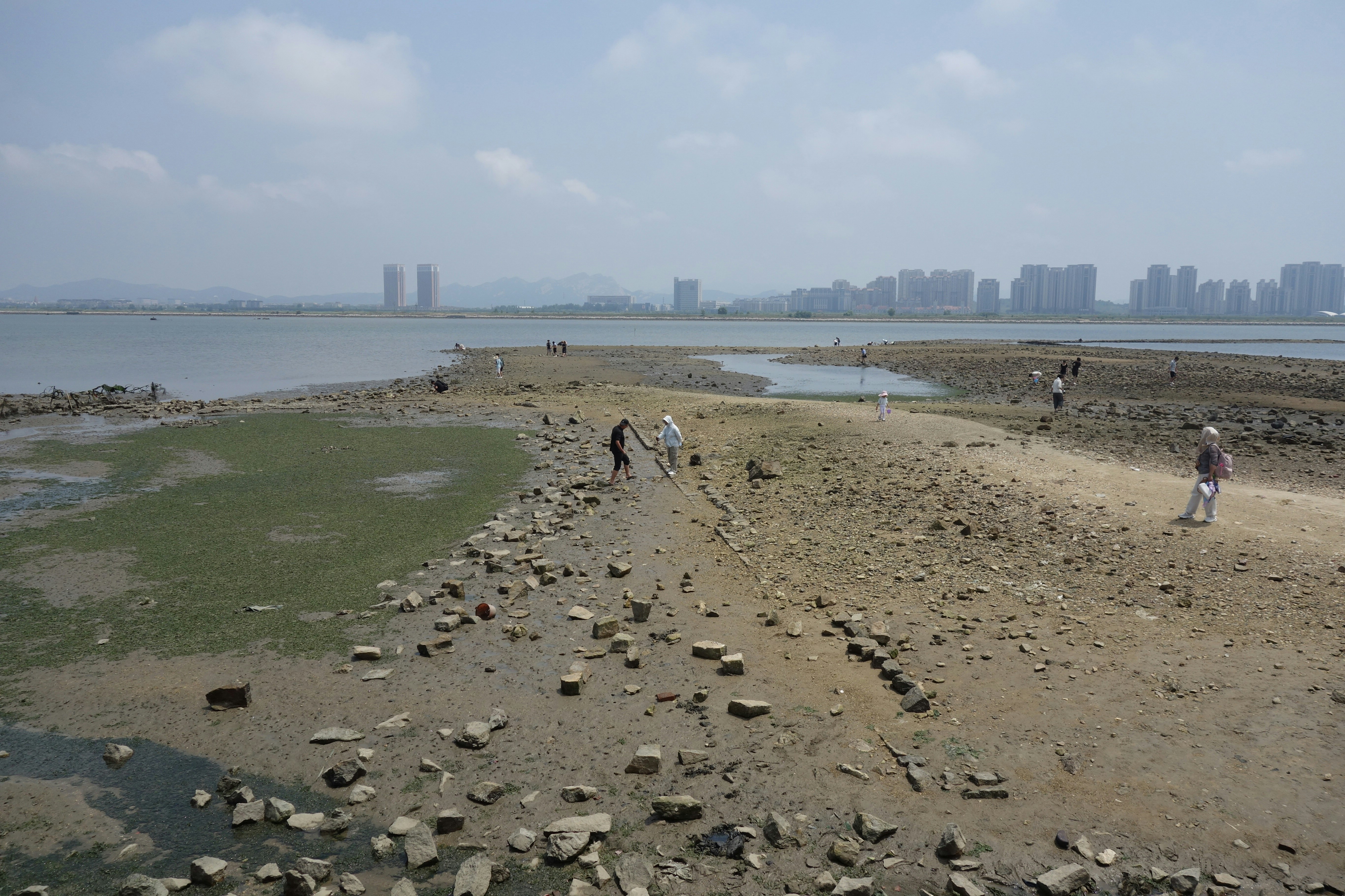Tide-Touched Promenade: Rocks, Sand, and Skyline