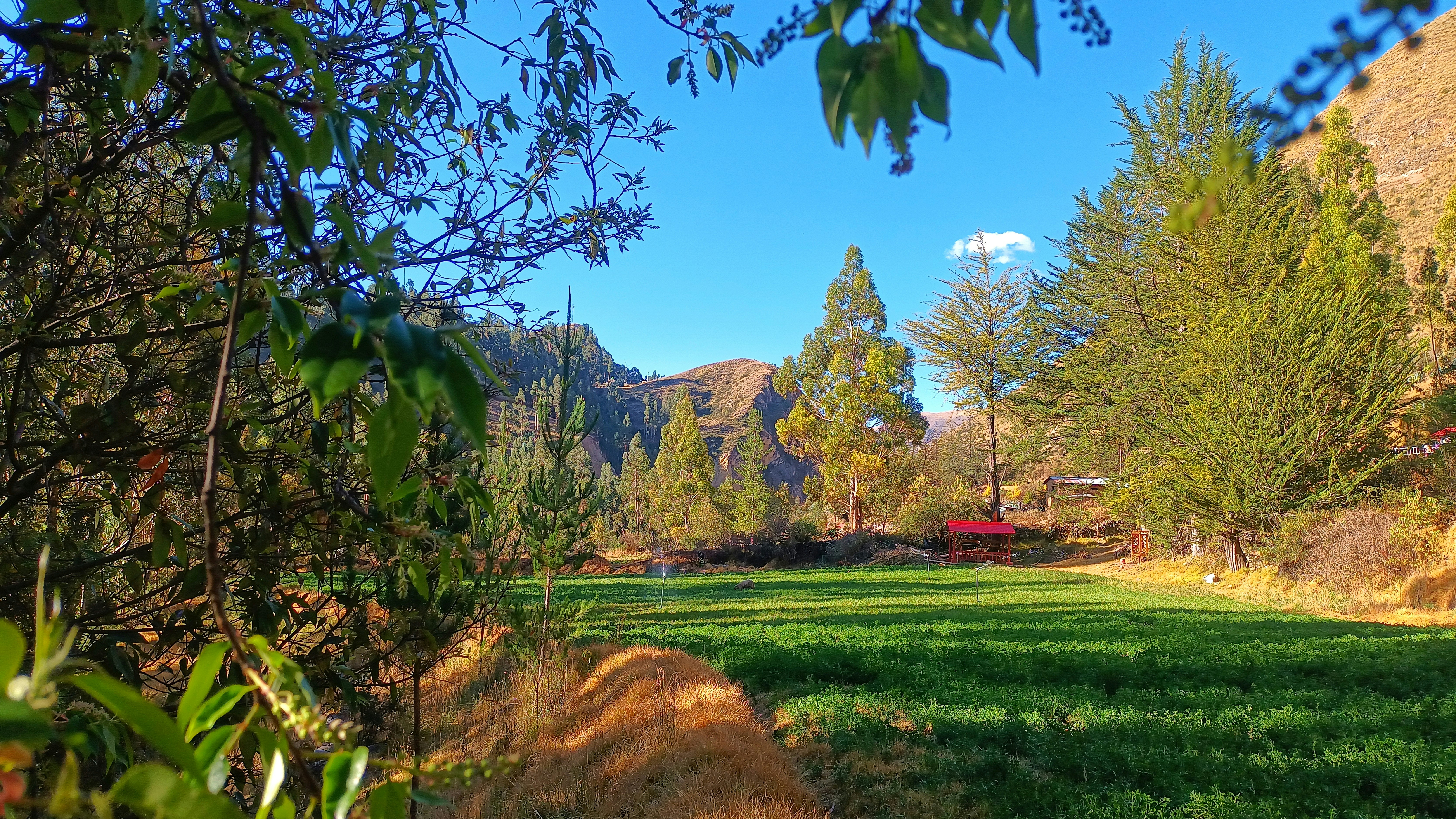 Sunlit valley under a clear blue sky with distant red-roofed structure
