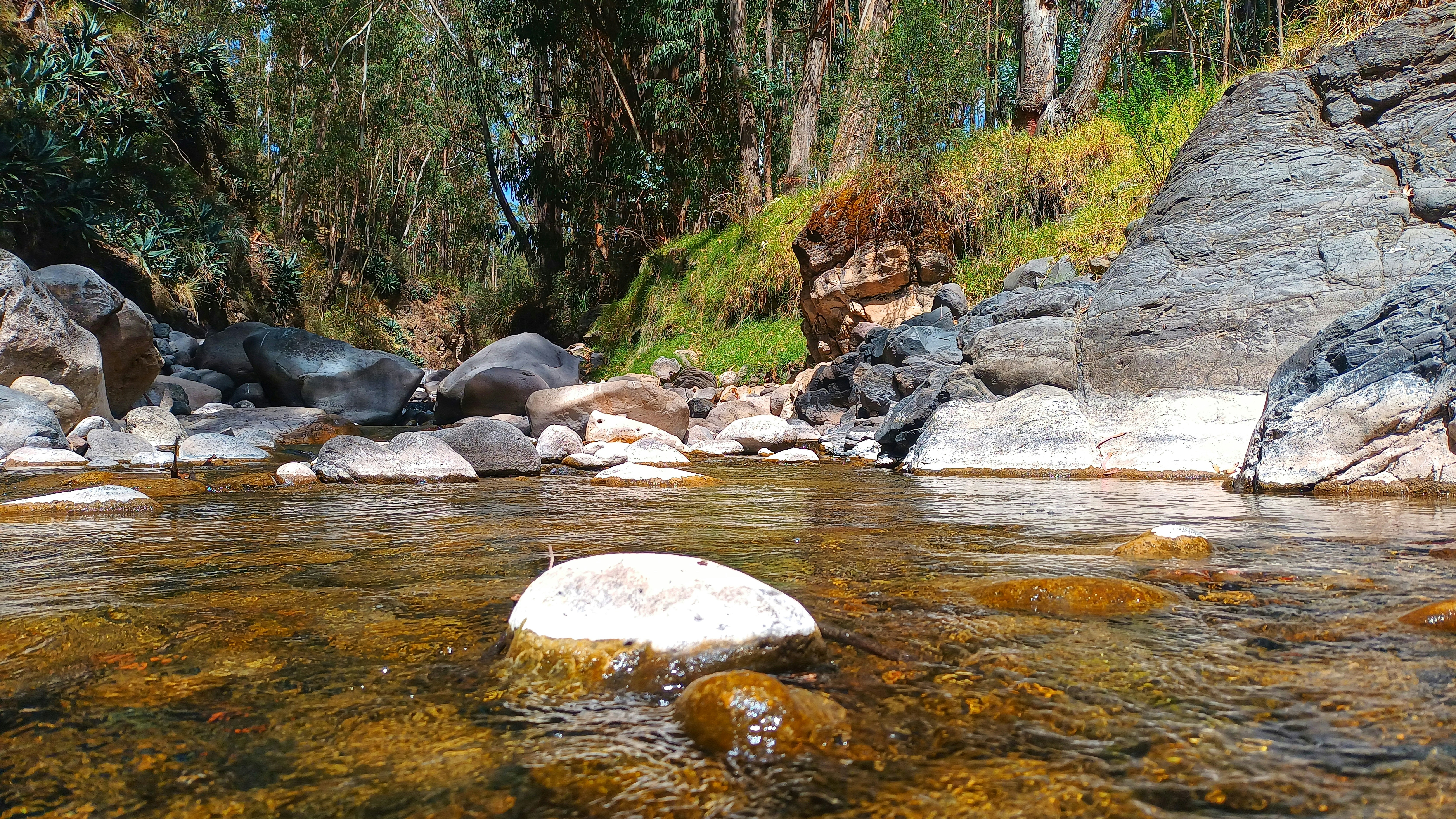 Pebble Crown in a Quiet River