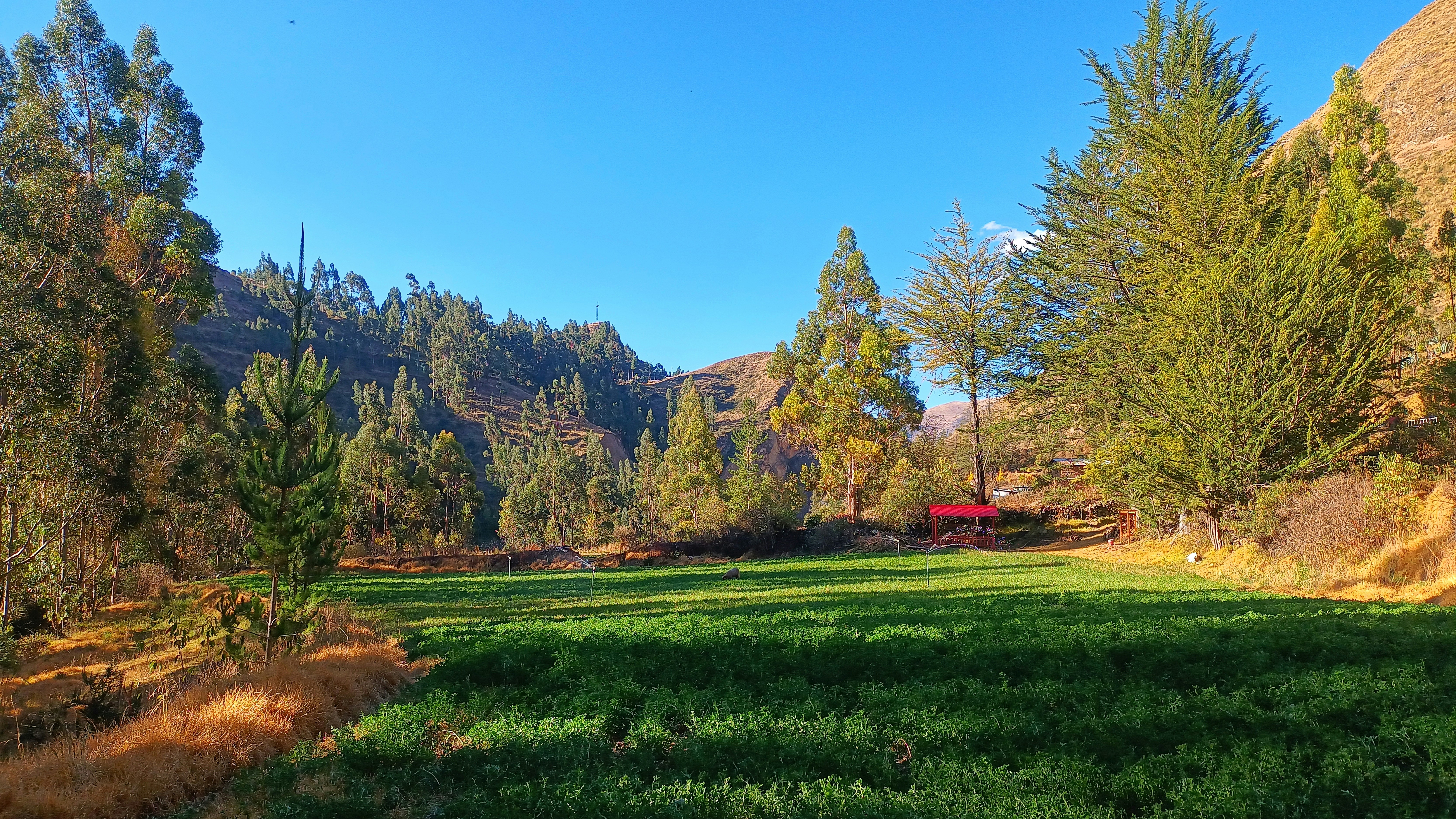 Sunlit Valley under a Clear Blue Sky