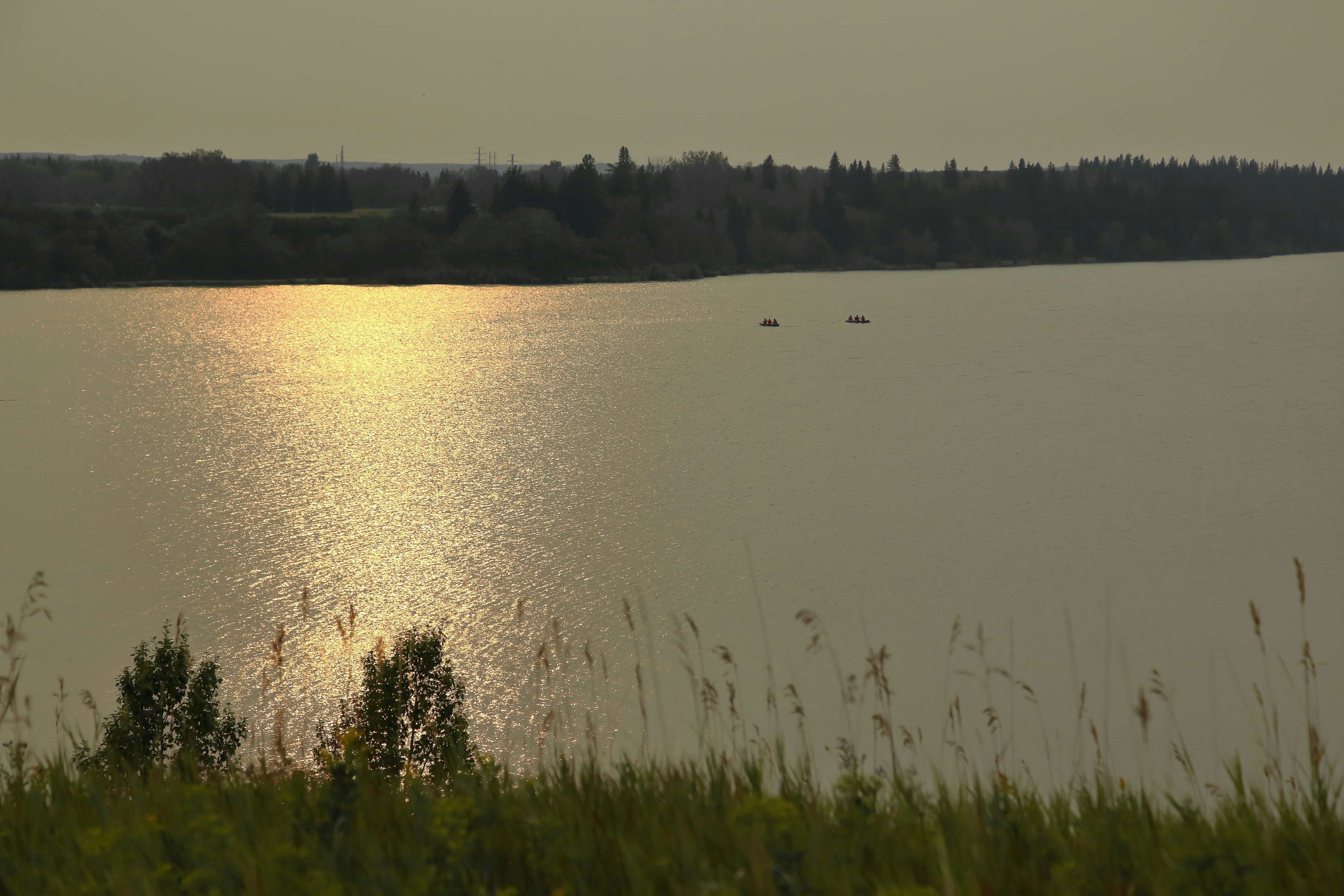 Golden Ring on Quiet Waters