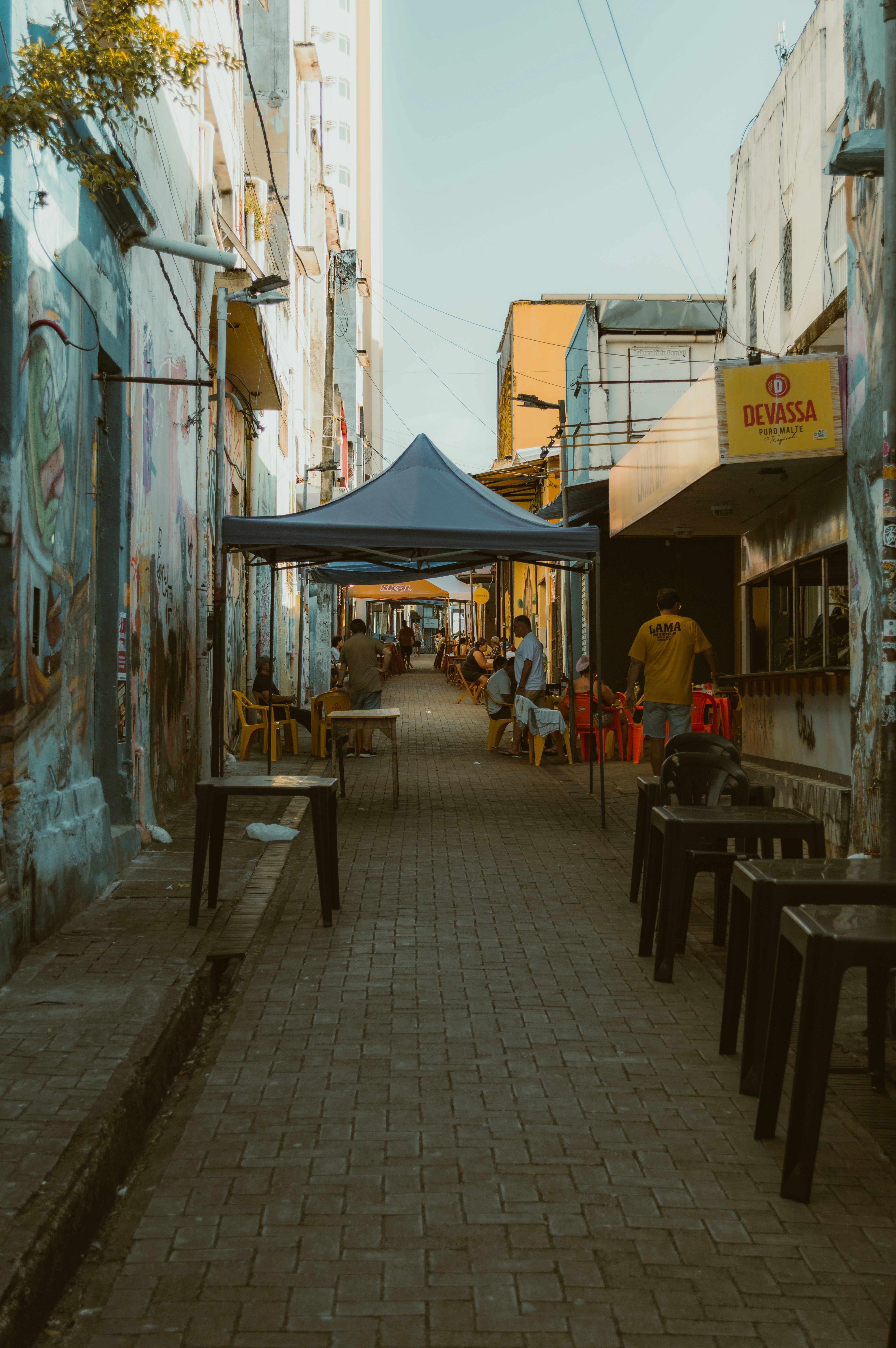 Canopy of détente: a sunlit alley café comes alive