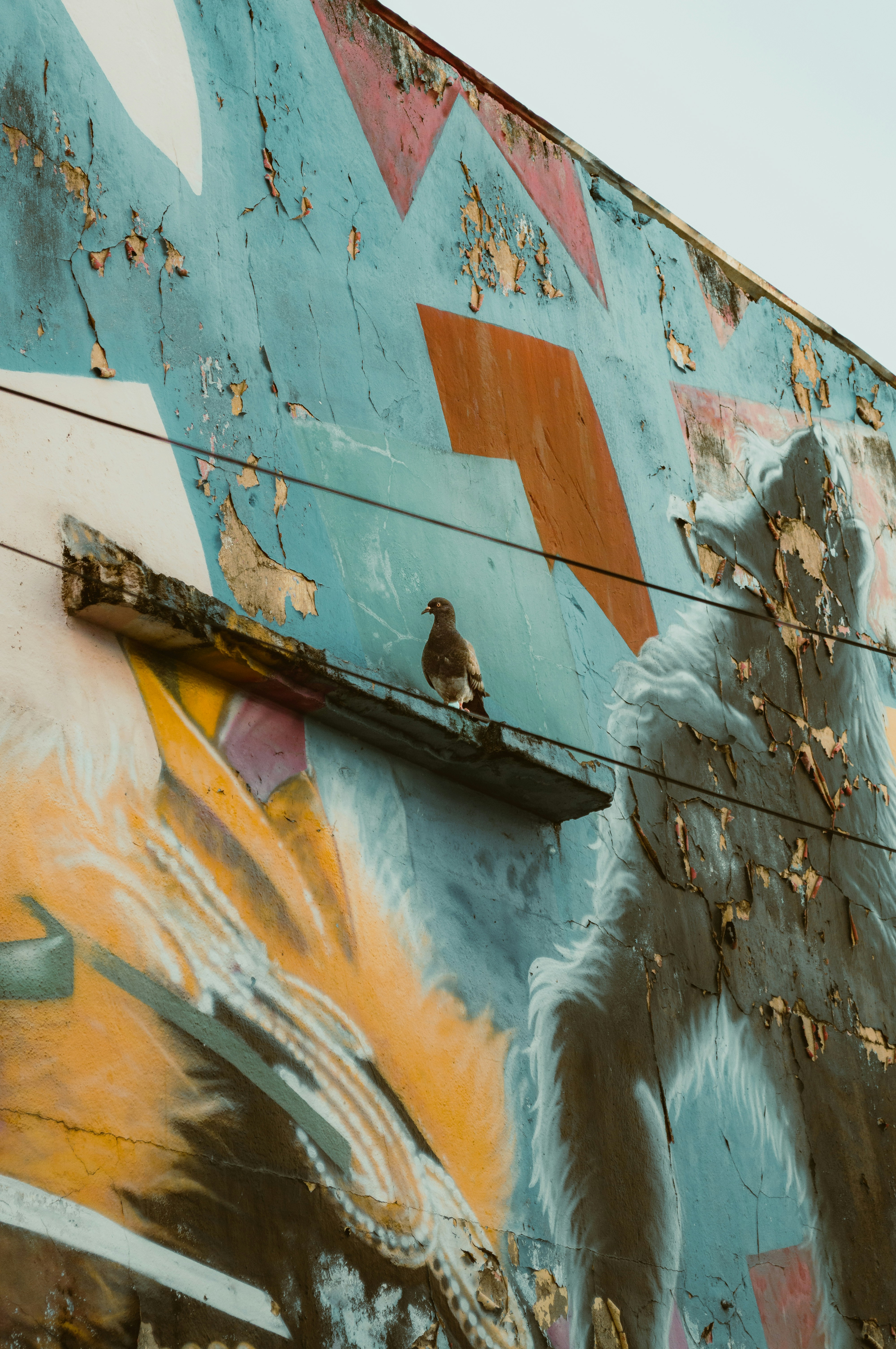 Urban mural with perched pigeon: a quiet moment on a weathered wall