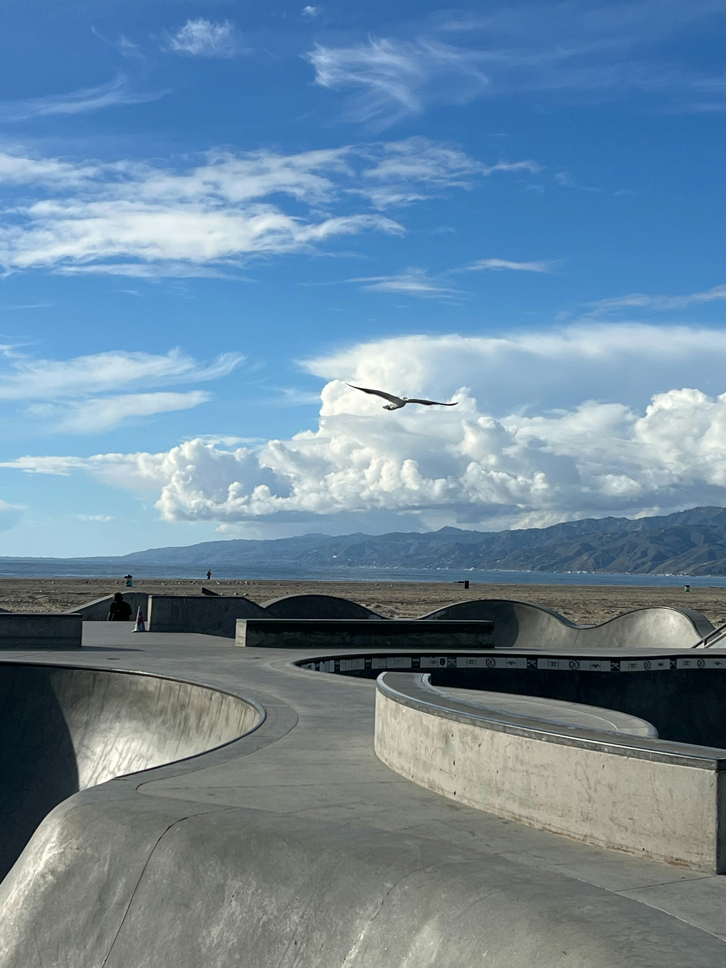 Winged silhouette over the coastal concrete labyrinth