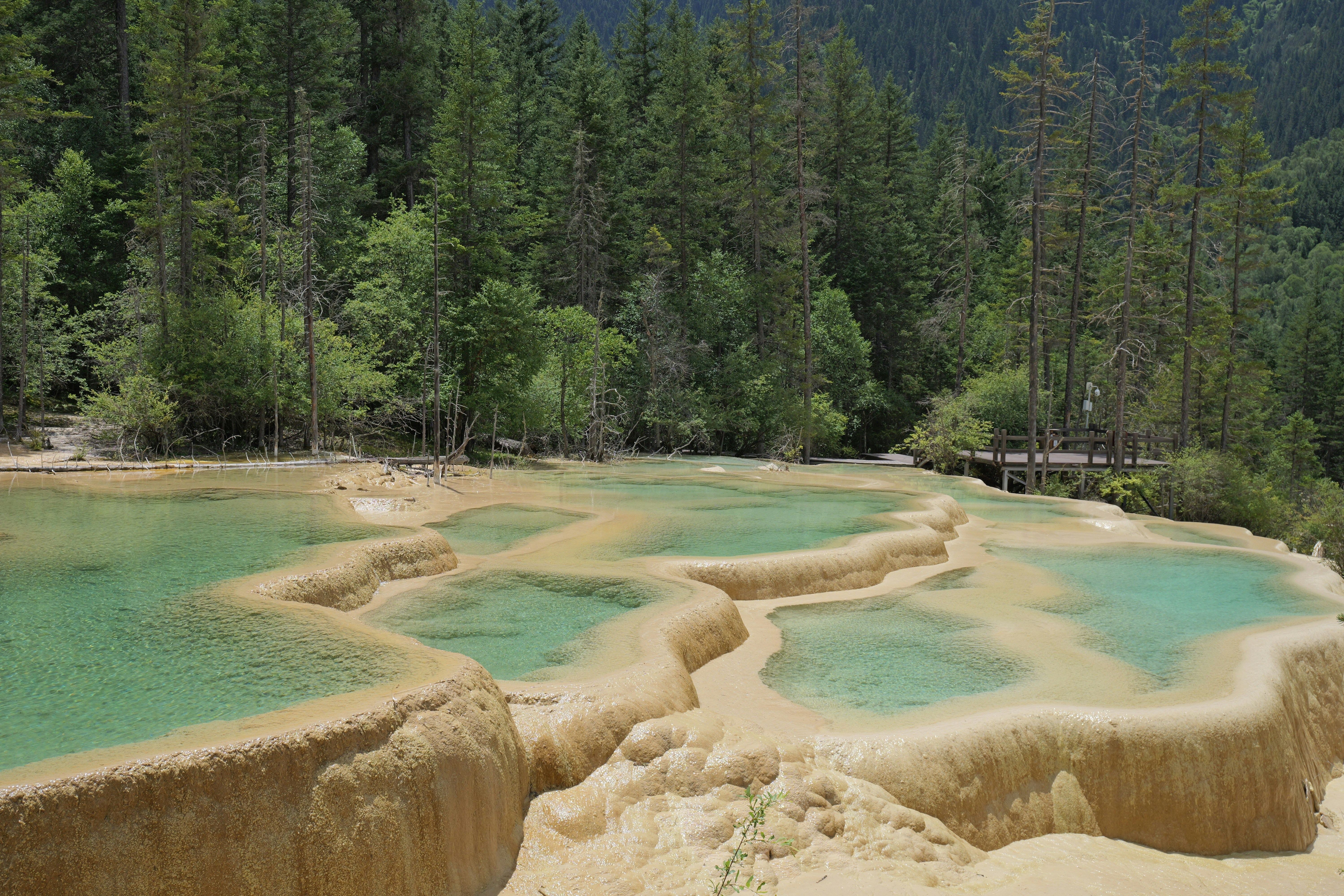Verdant cascades: turquoise terraces imprinting a mineral map