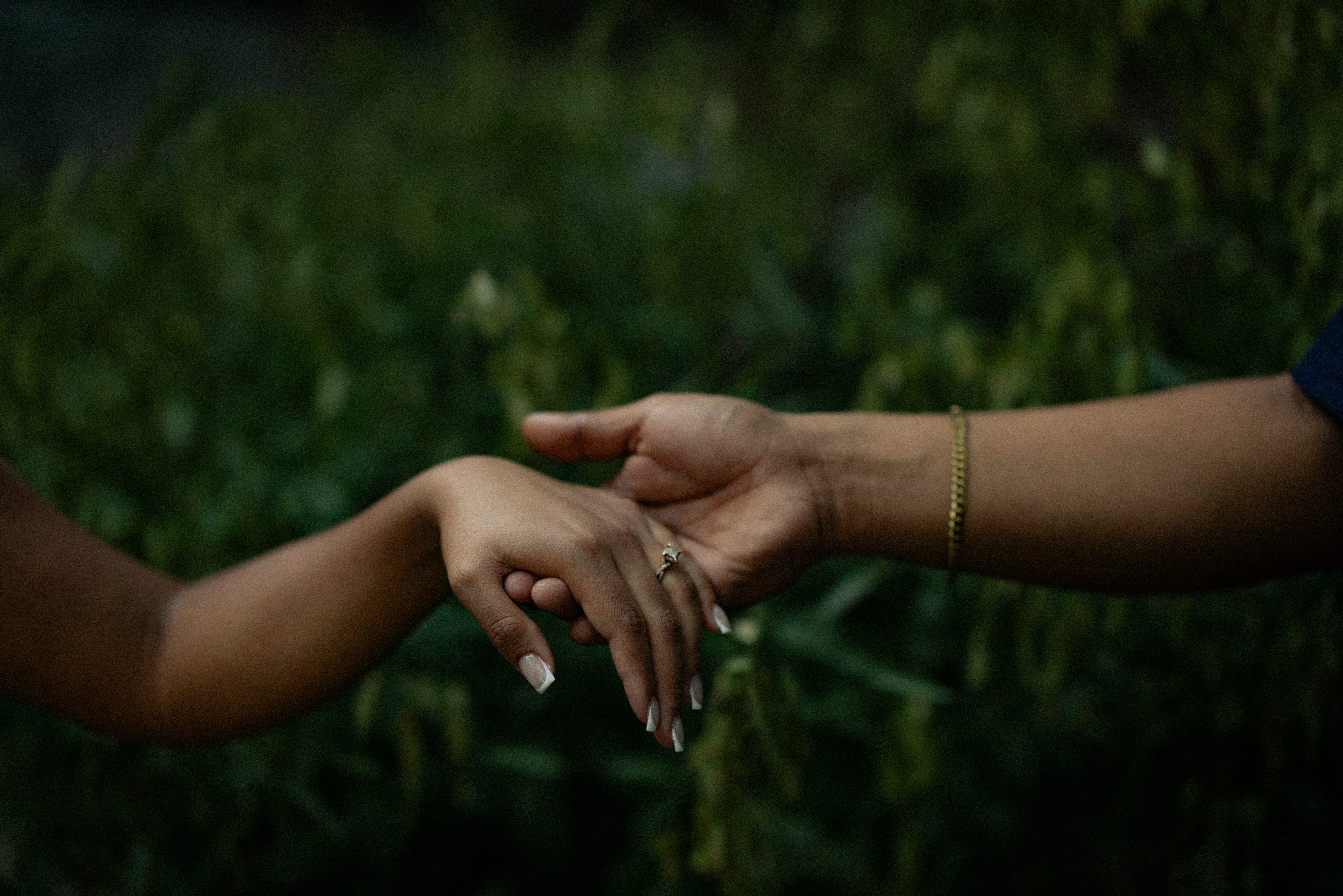 A Tender Exchange: Hands Reaching Across a Foliage Backdrop