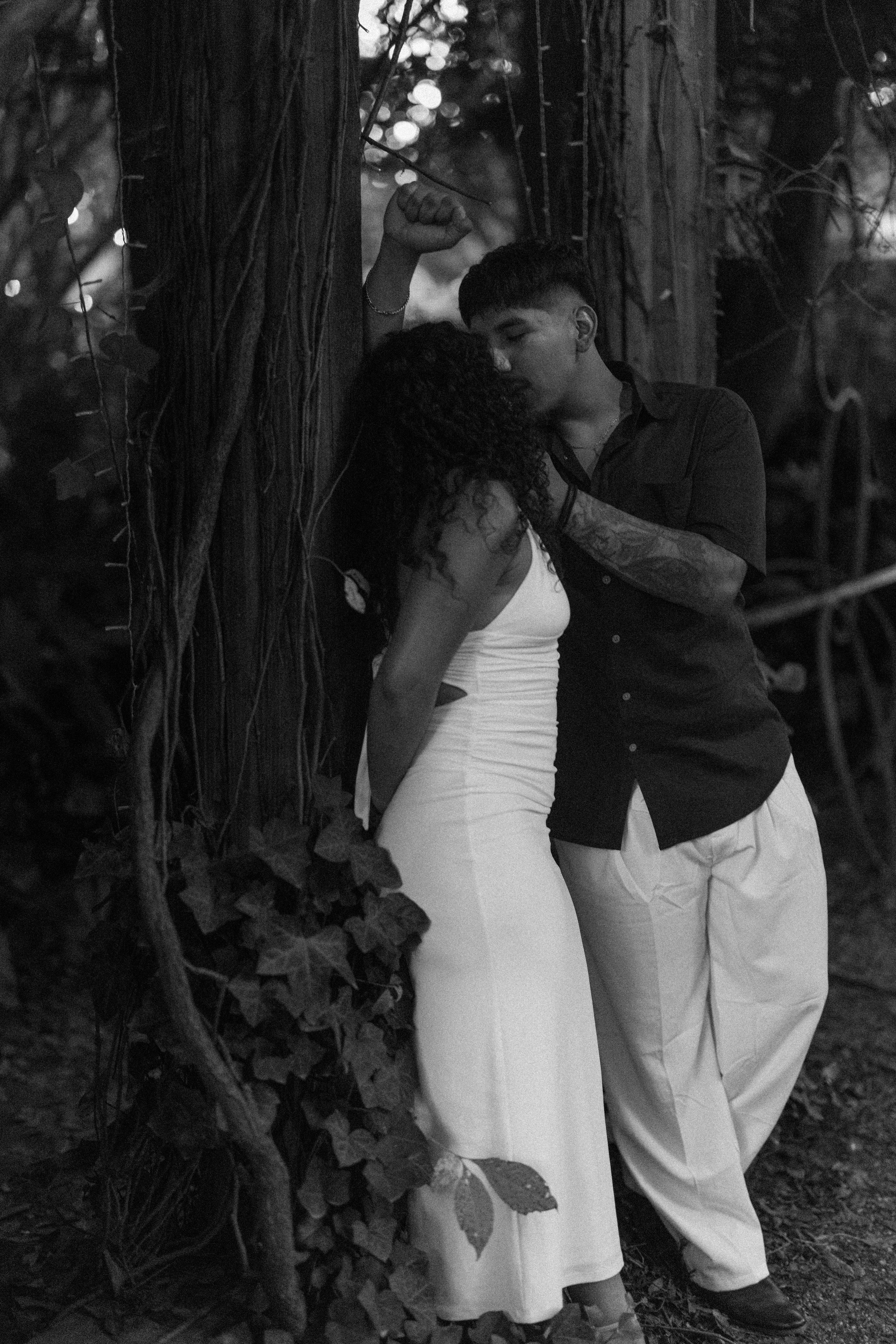 Entwined in Shadow: A Quiet Moment Beneath the Vines