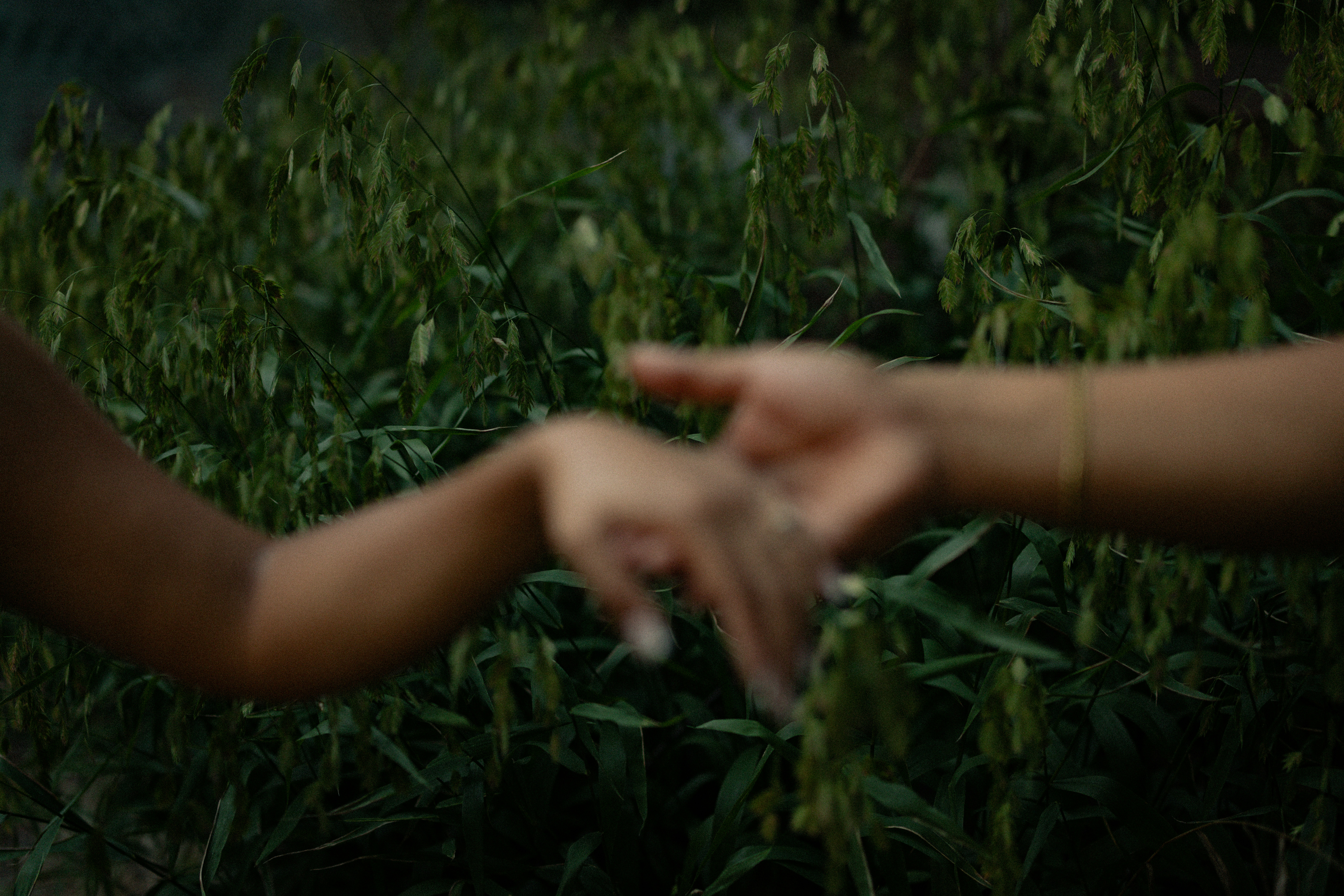 Two Hands Reaching Through a Verdant Veil
