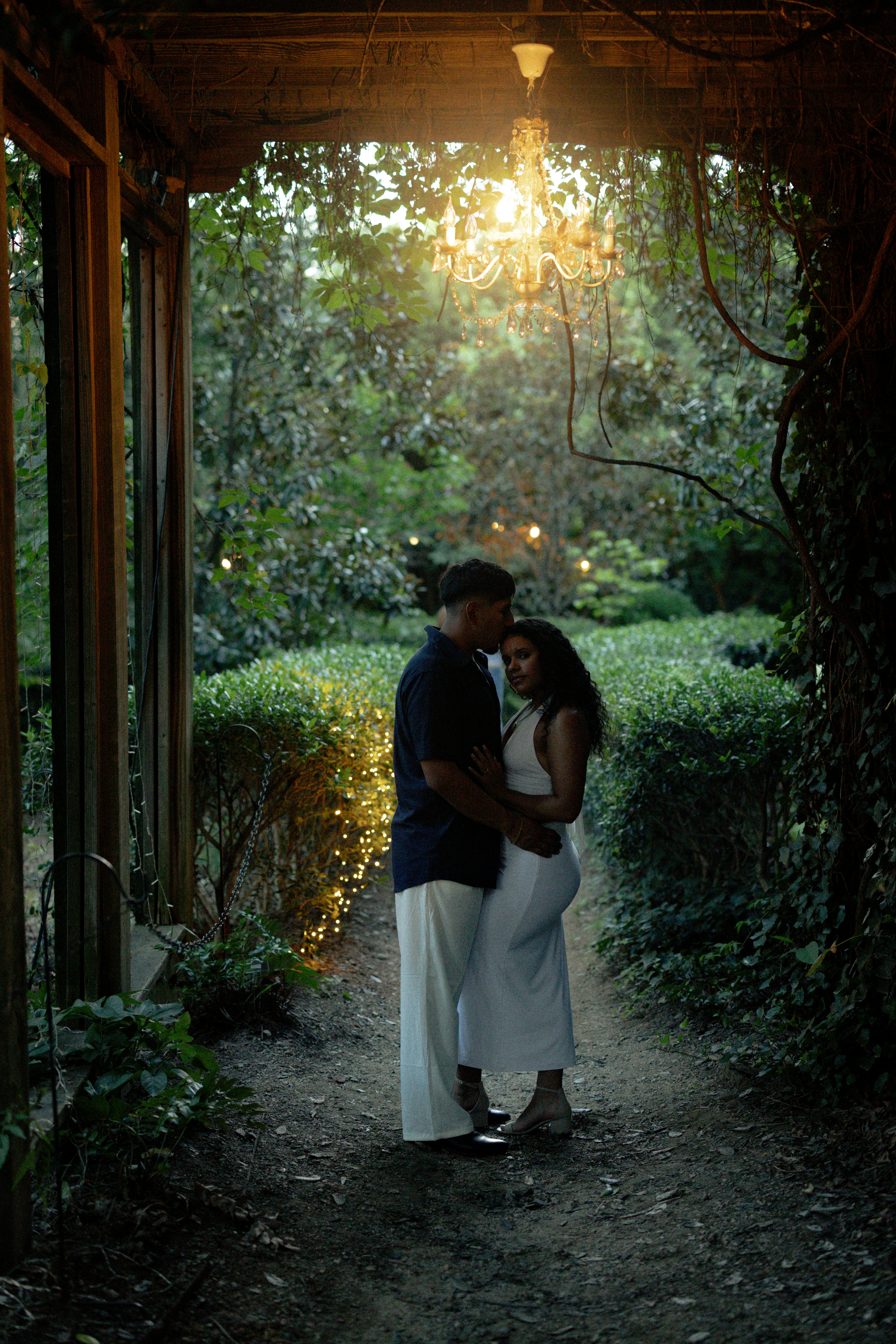 Soft Evening Embrace Under Dappled Lights