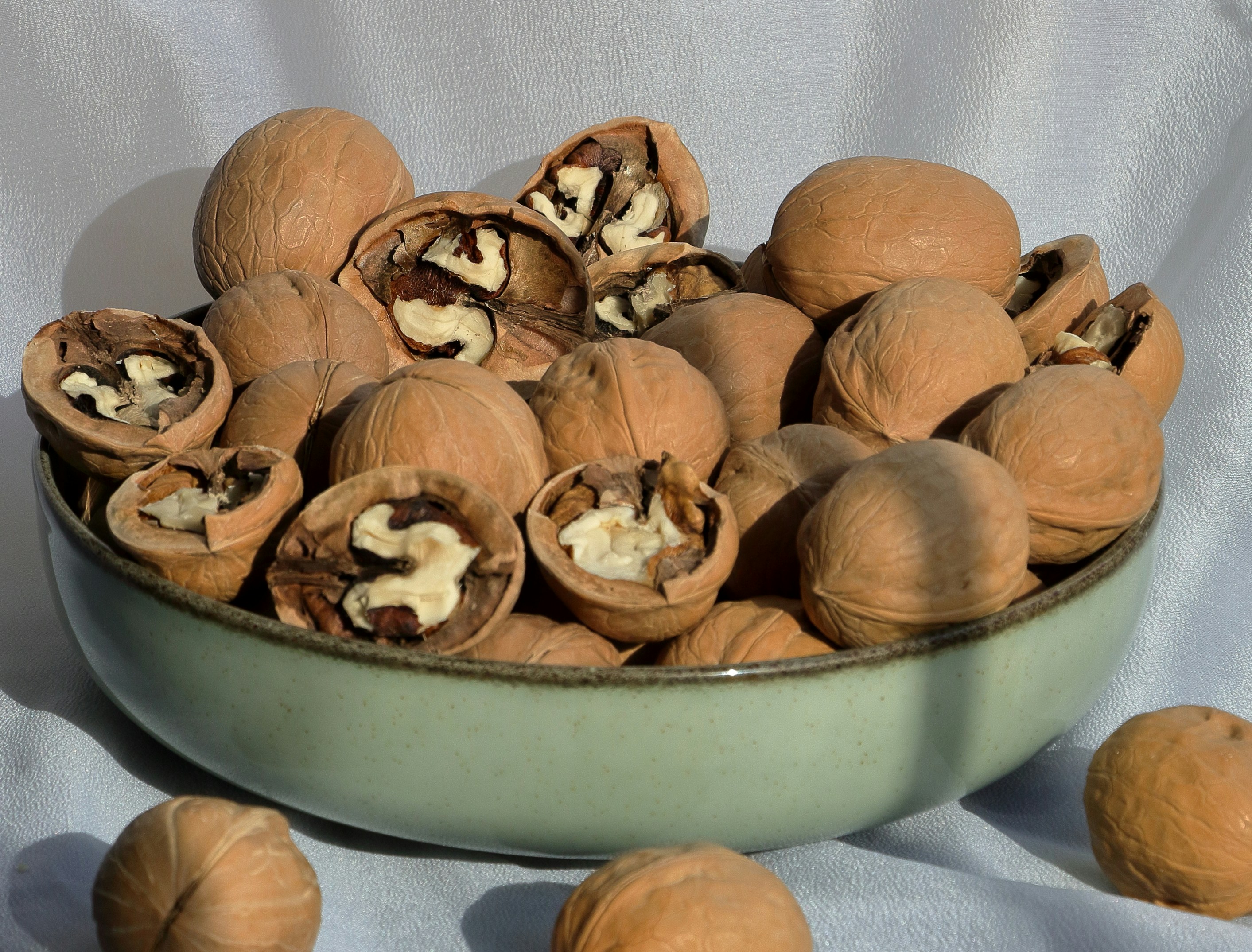 Nuts in Bloom: A Bowl of Cracked Walnut Keepsakes