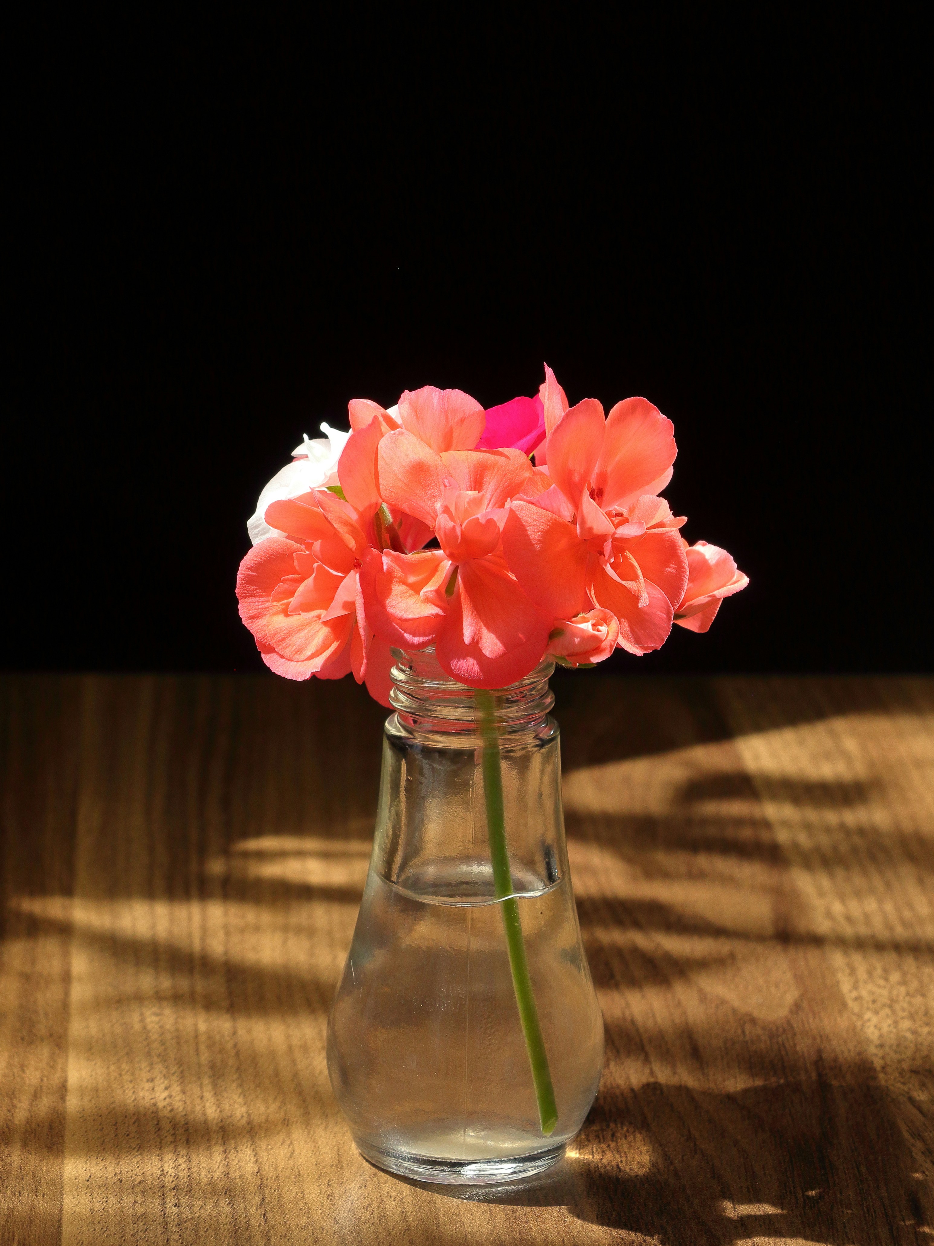 Flaming Bouquet in a Glass Vessel Bathed in Spotlight