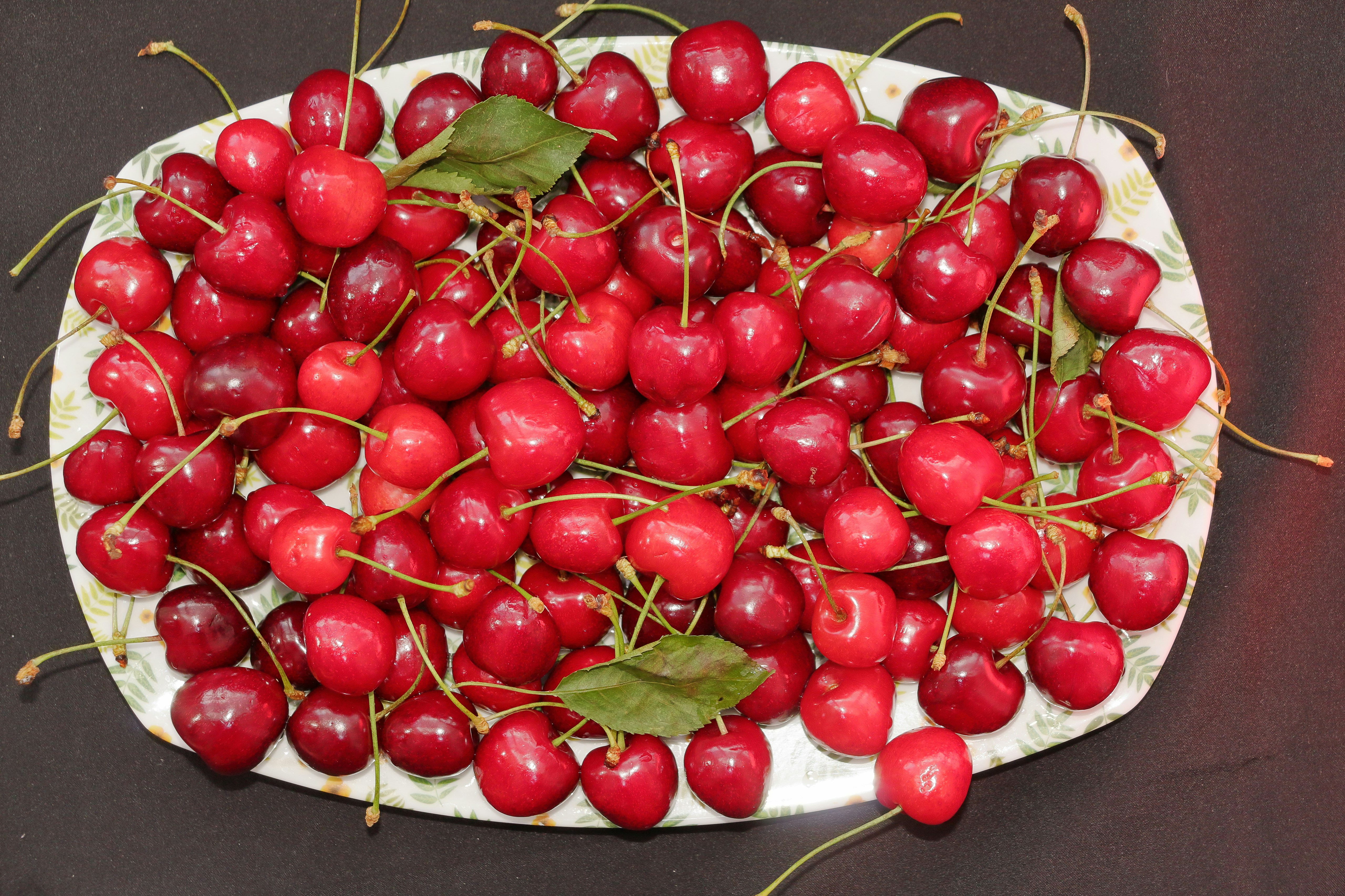 Glossy Red Cherries on a White Plate