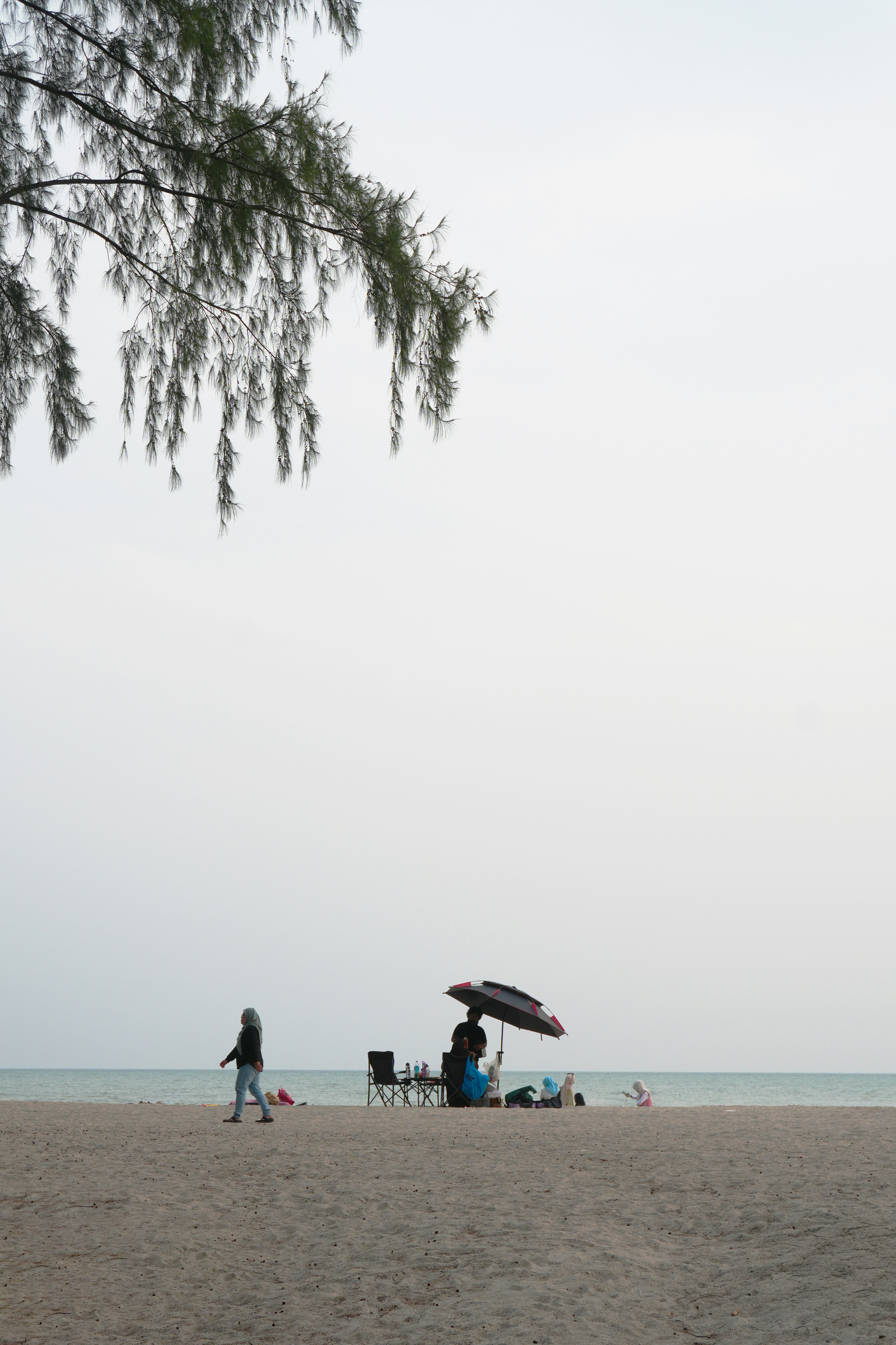 Quiet Beachside Moment Under a Sparse Canopy