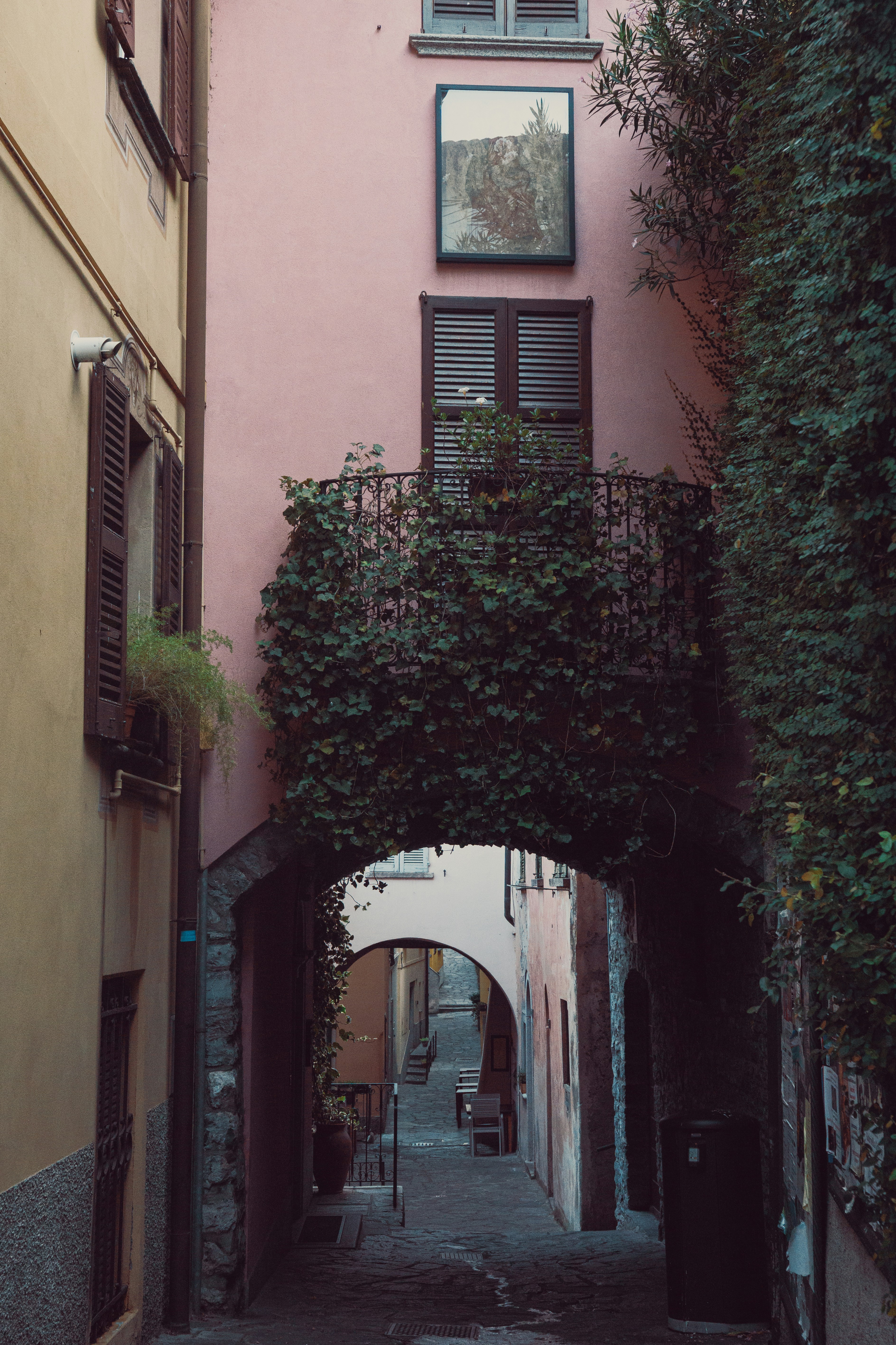 A vine-arched passageway: sunlit archway framed by ivy and pastel walls