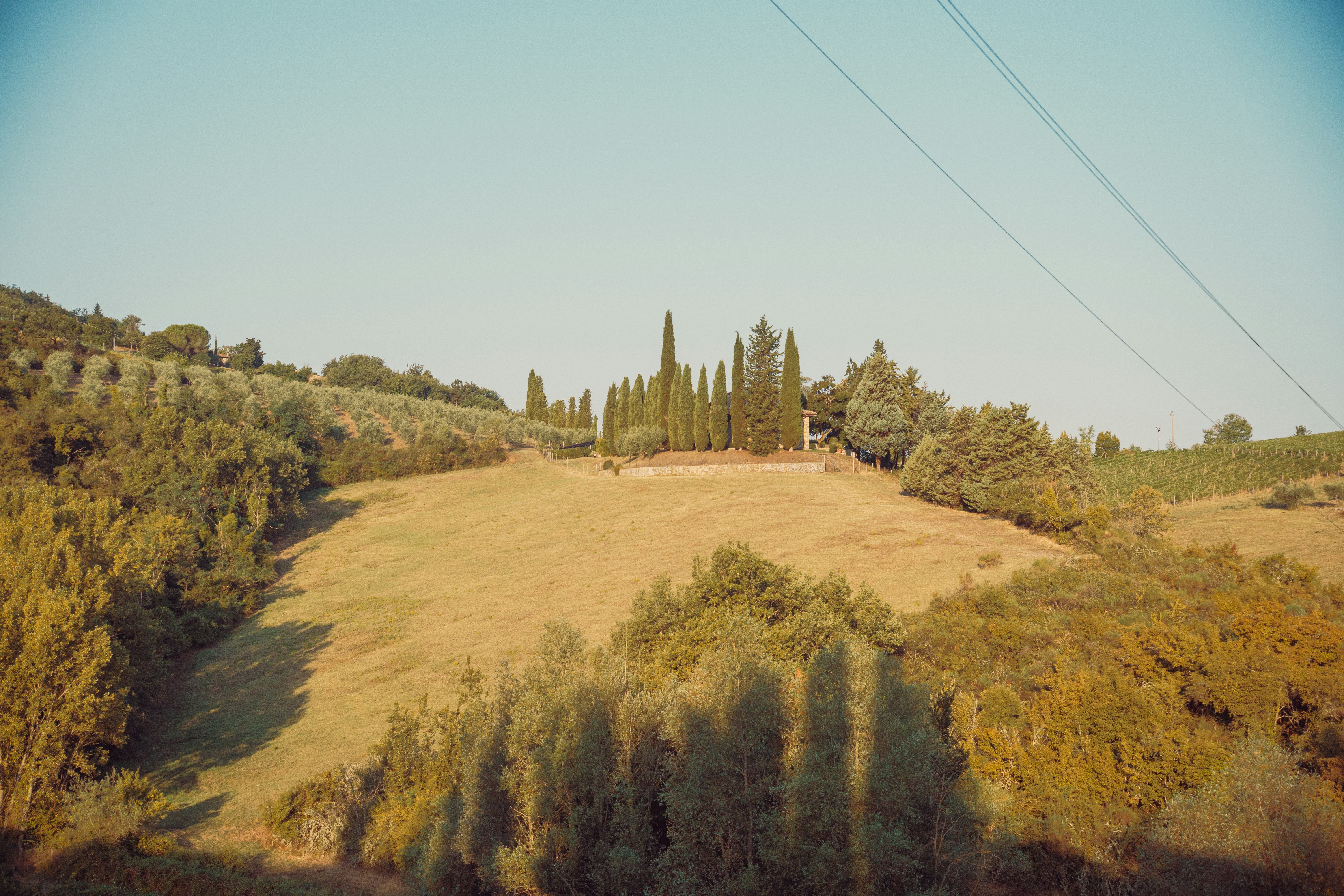 Pastoral Ridge Under Cable Traces