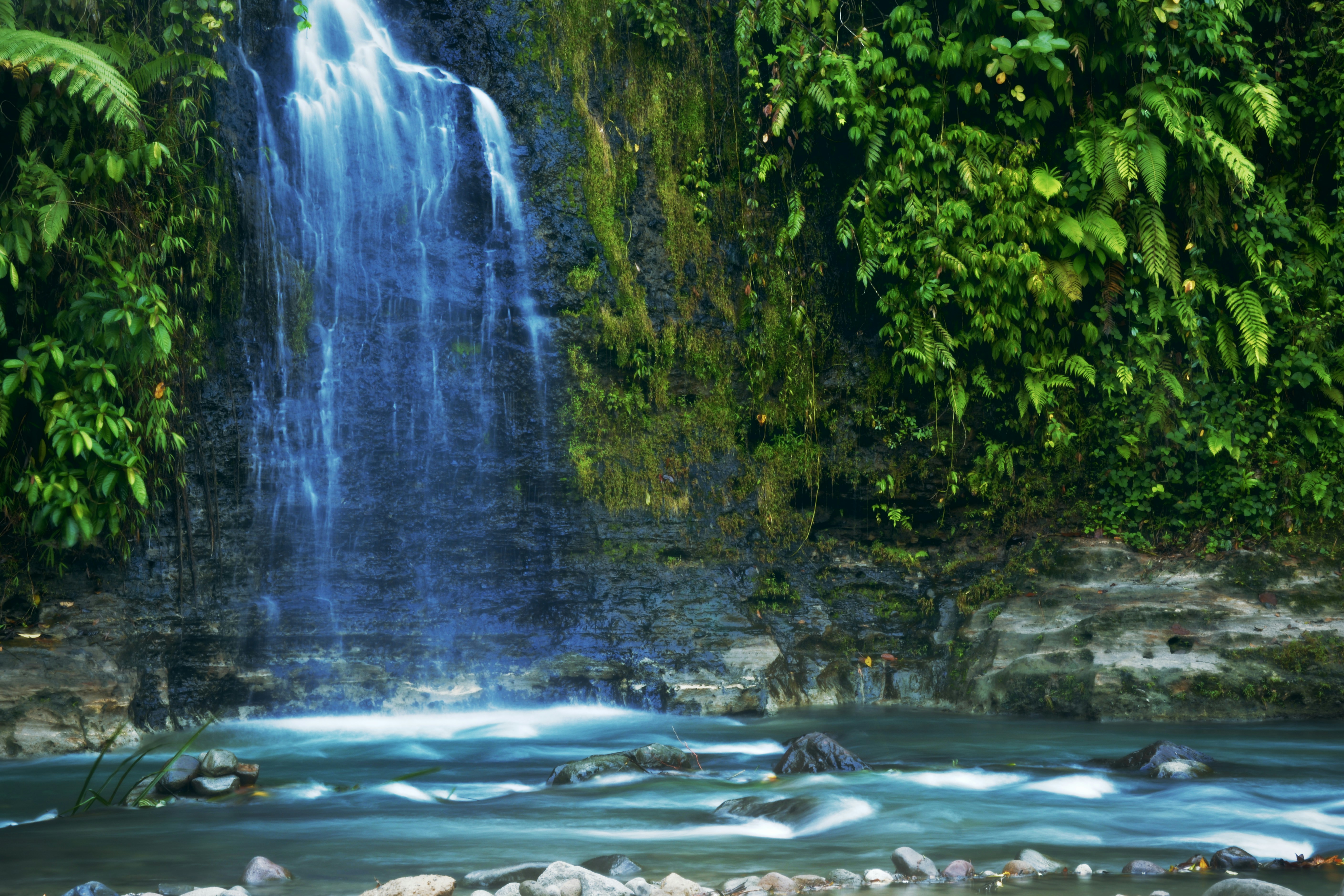 Emerald Cascade: Mossy Wall and Quiet Pool