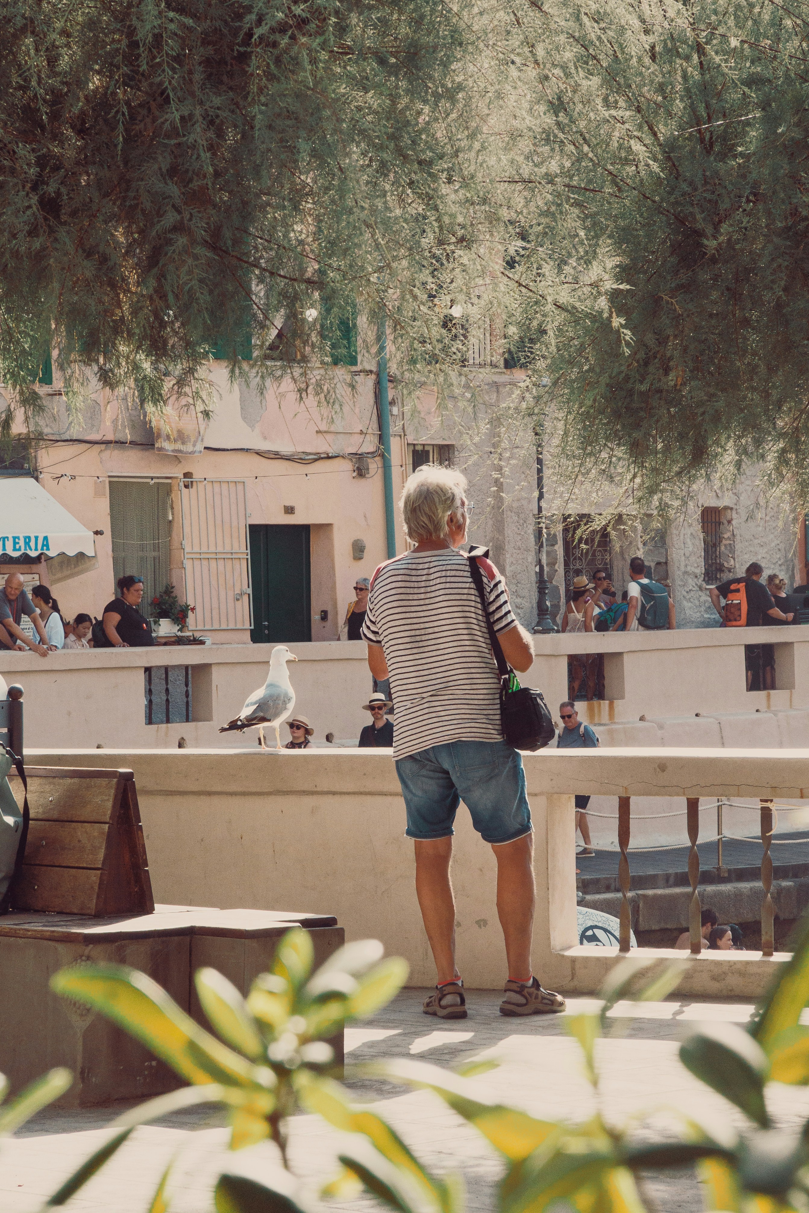 Seated by the Seaside Promenade: A Striped Stranger and a Seagull